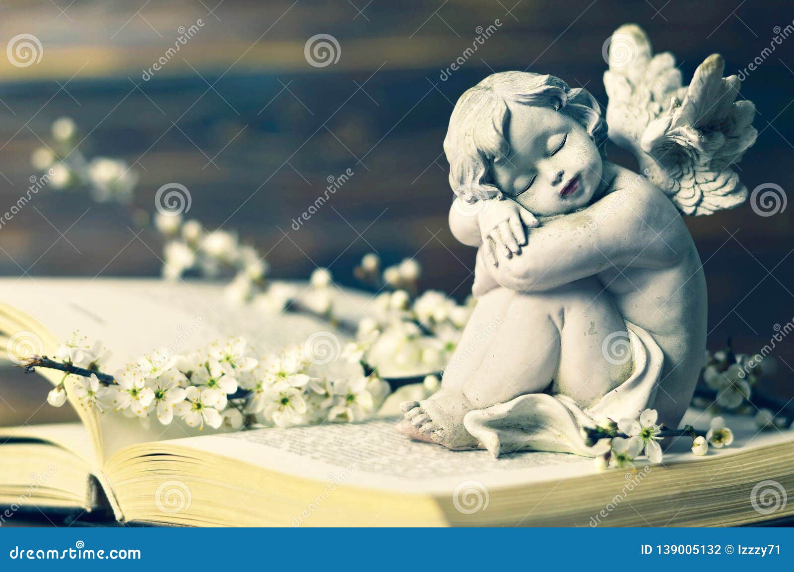 Angel sleeping on the book stock photo. Image of sadness - 139005132