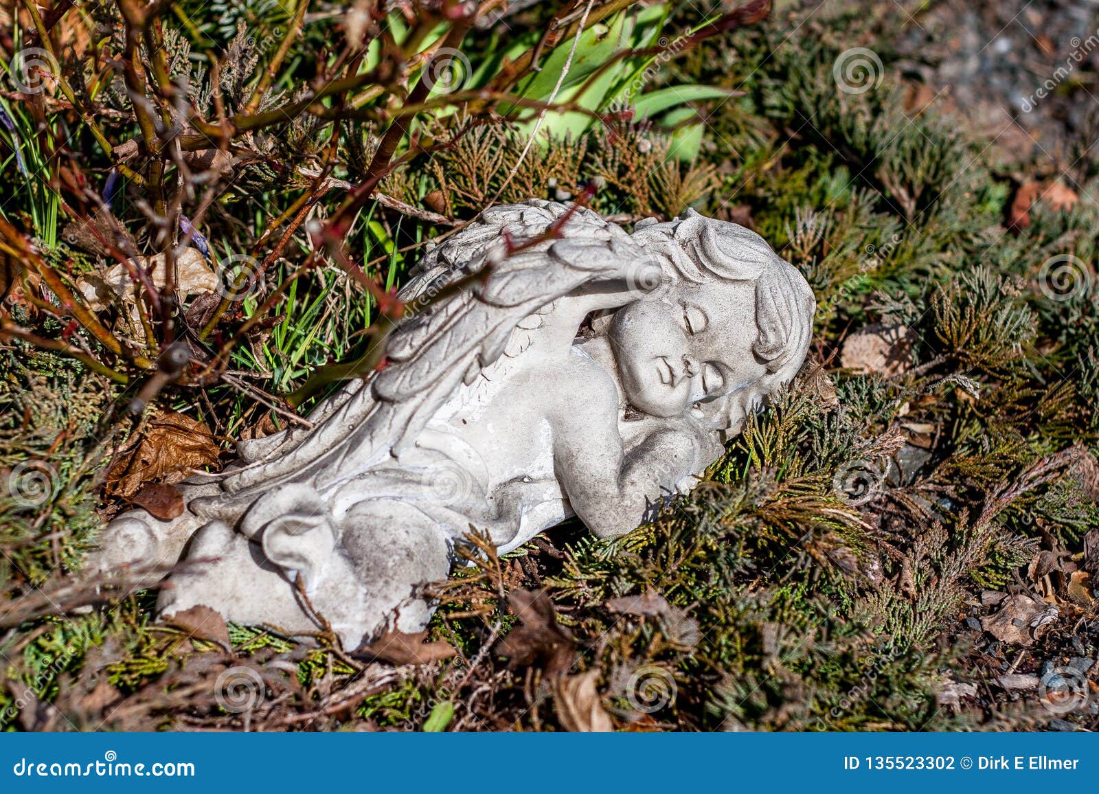 Angel sleeping - dreaming stock photo. Image of feel - 135523302
