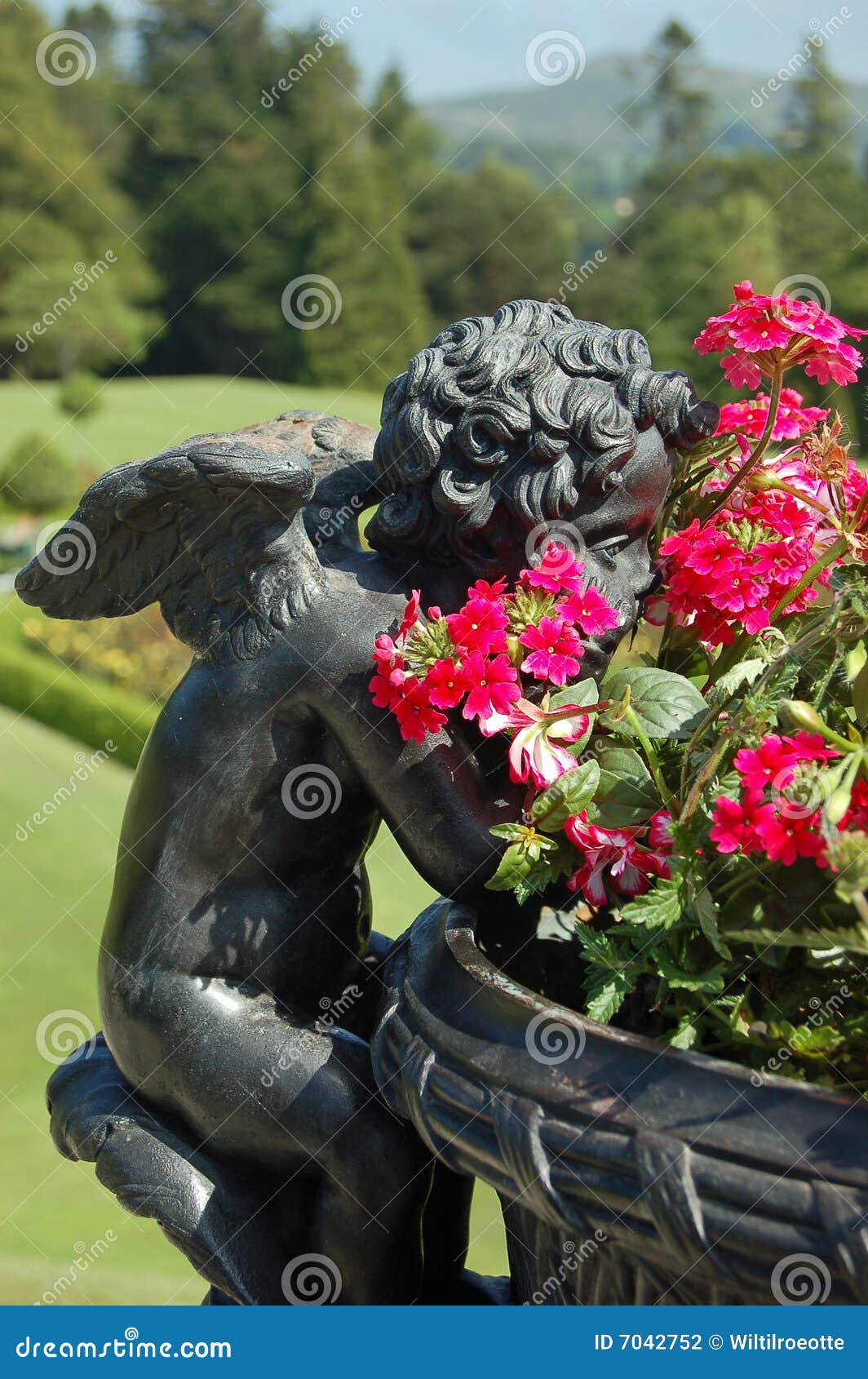 Angel Smelling Summer Flowers Stock Photo - Image of container, ireland ...