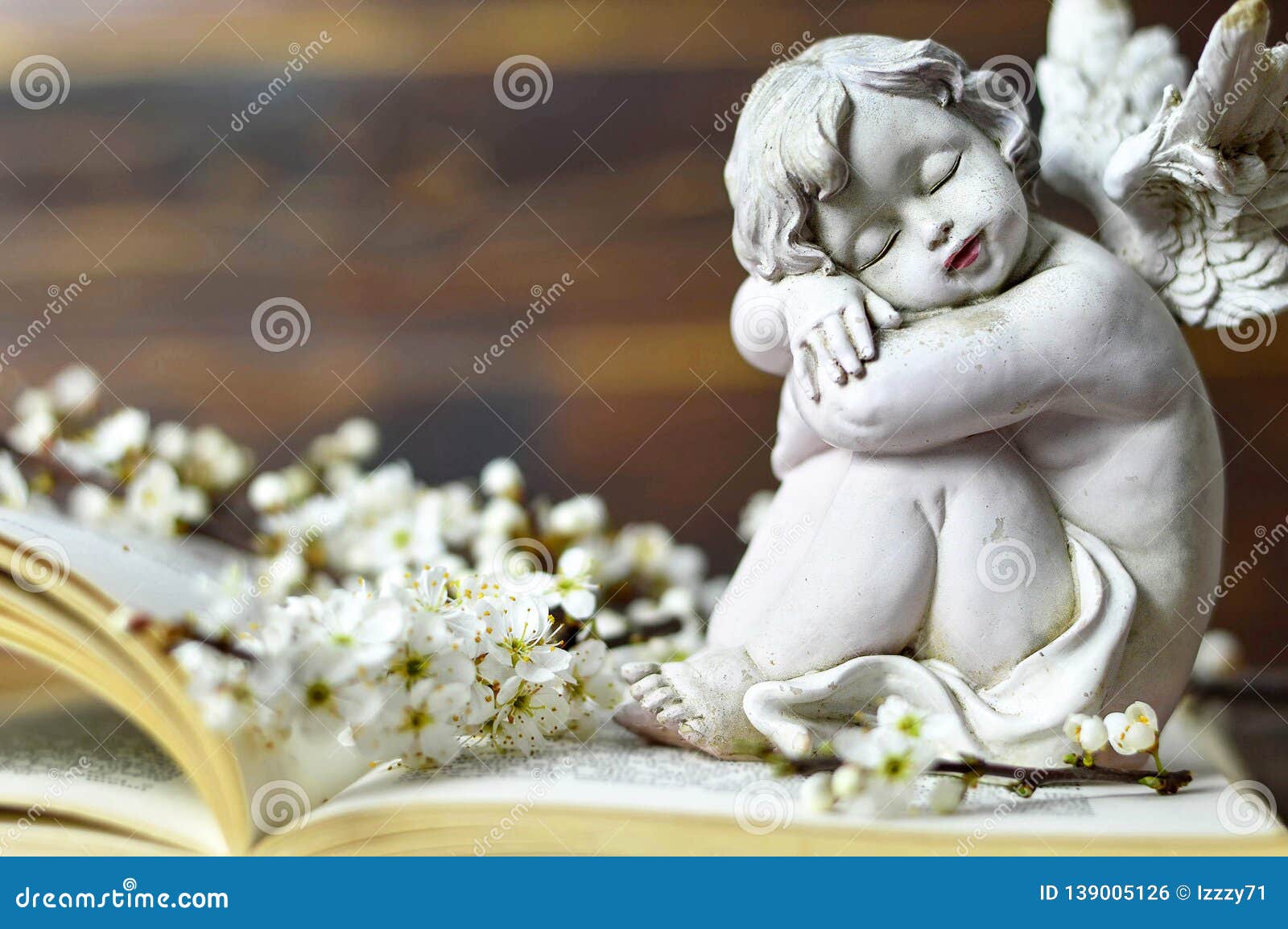 Angel and Spring Branches on the Book Stock Photo - Image of angel ...