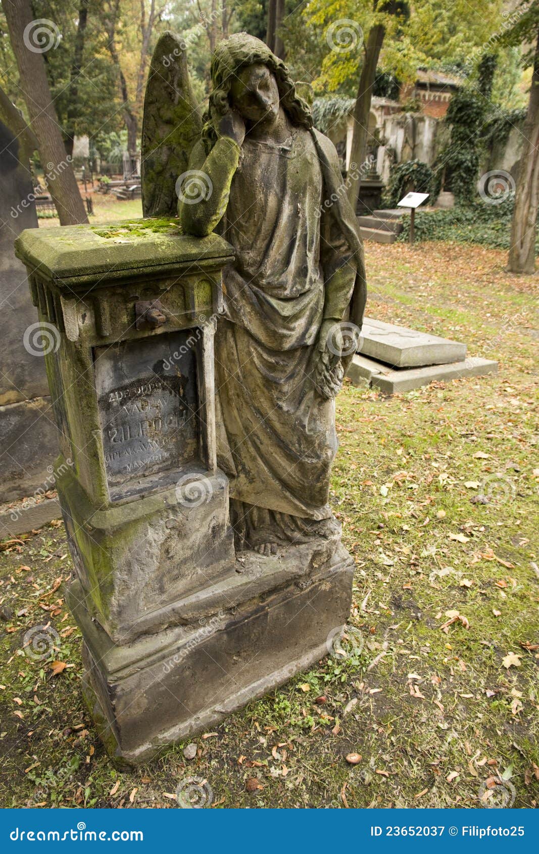 Angel at the tomb stock image. Image of grave, foliage - 23652037