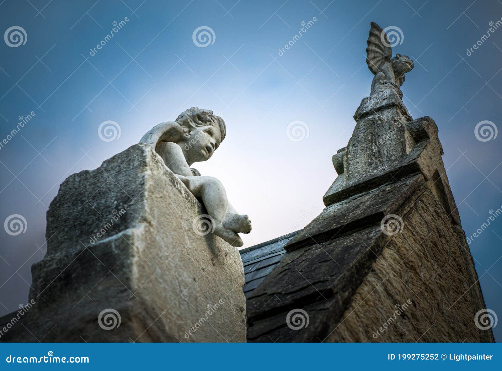 The watcher stock photo. Image of outside, nature, scenic - 199275252
