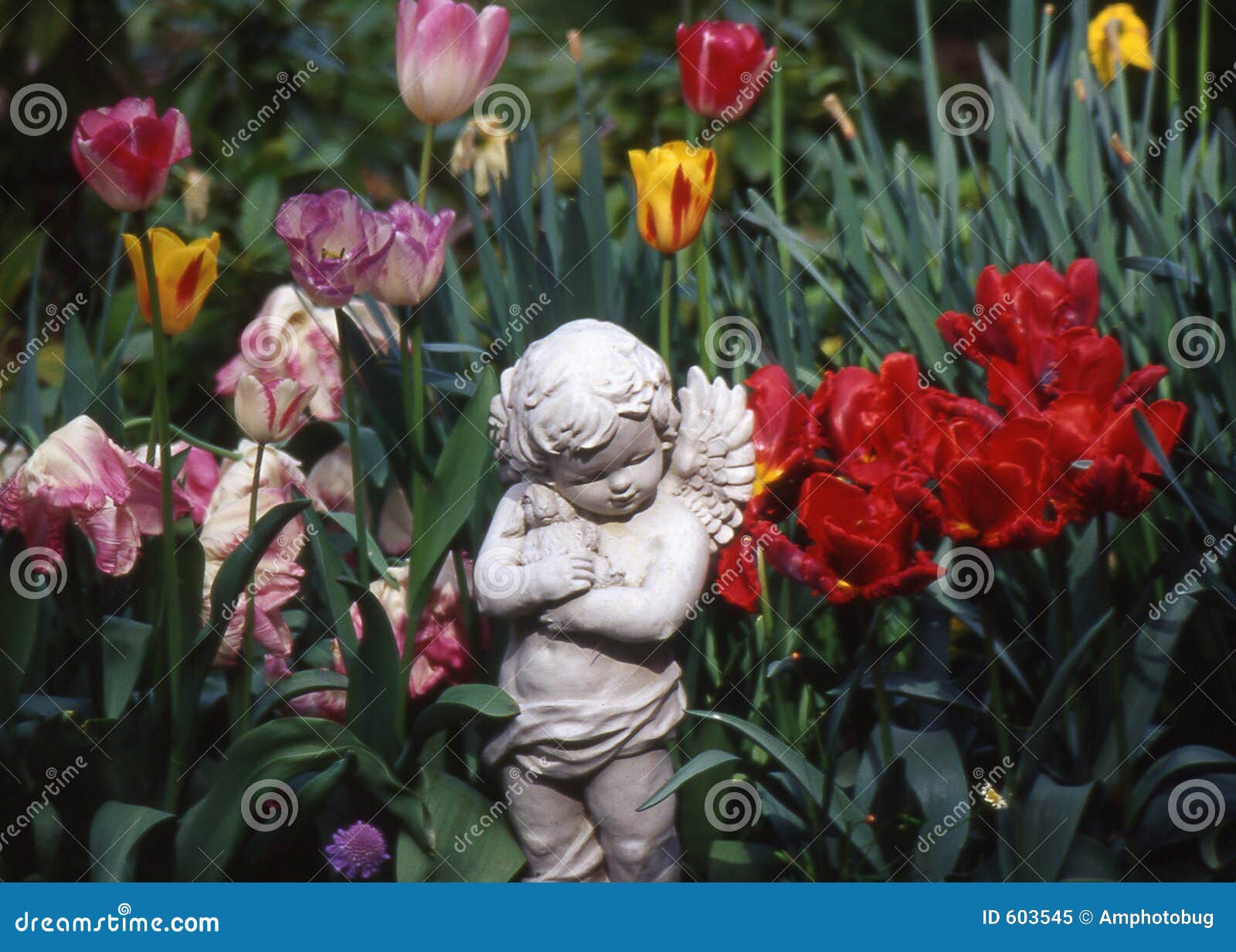 Angel in the Tulips stock image. Image of sacred, statue - 603545