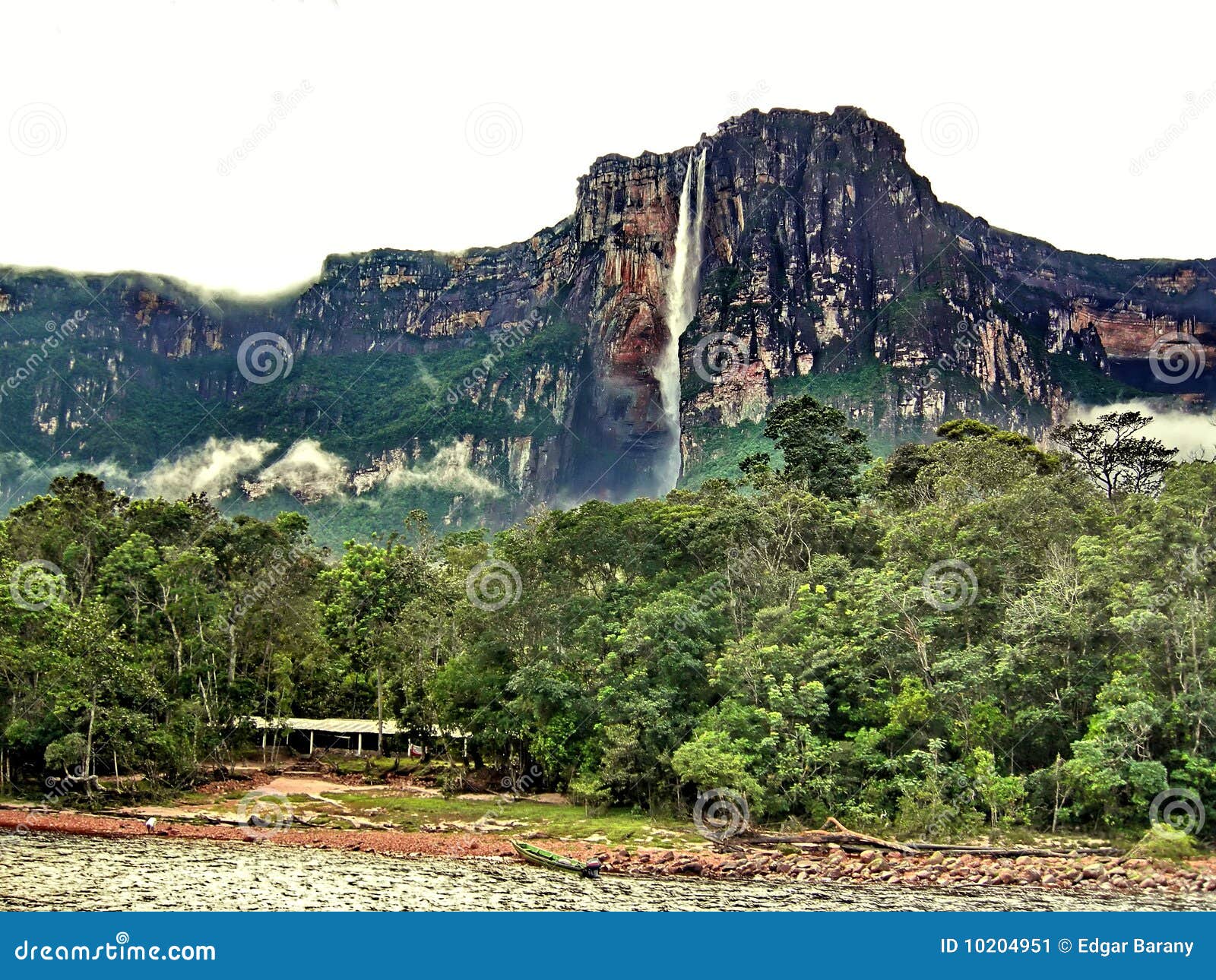 Angel Waterfall stock image. Image of liquid, long, botanical - 10204951