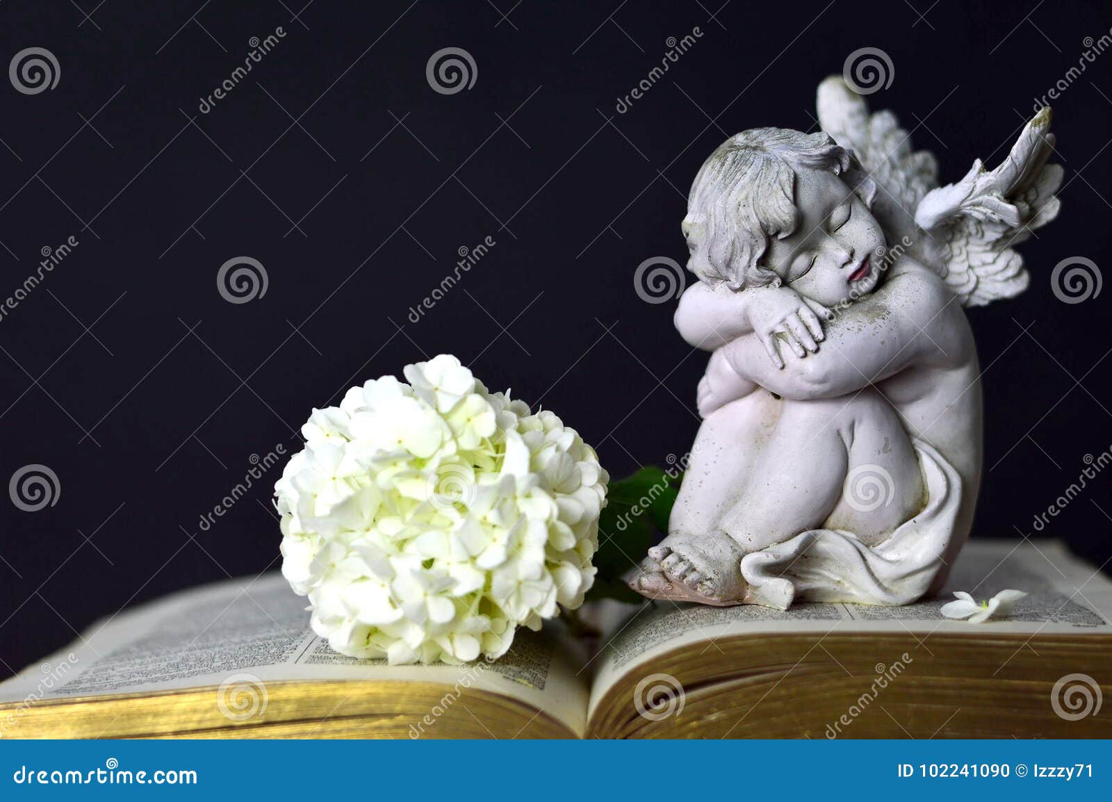 Angel and white flower stock photo. Image of condolence - 102241090