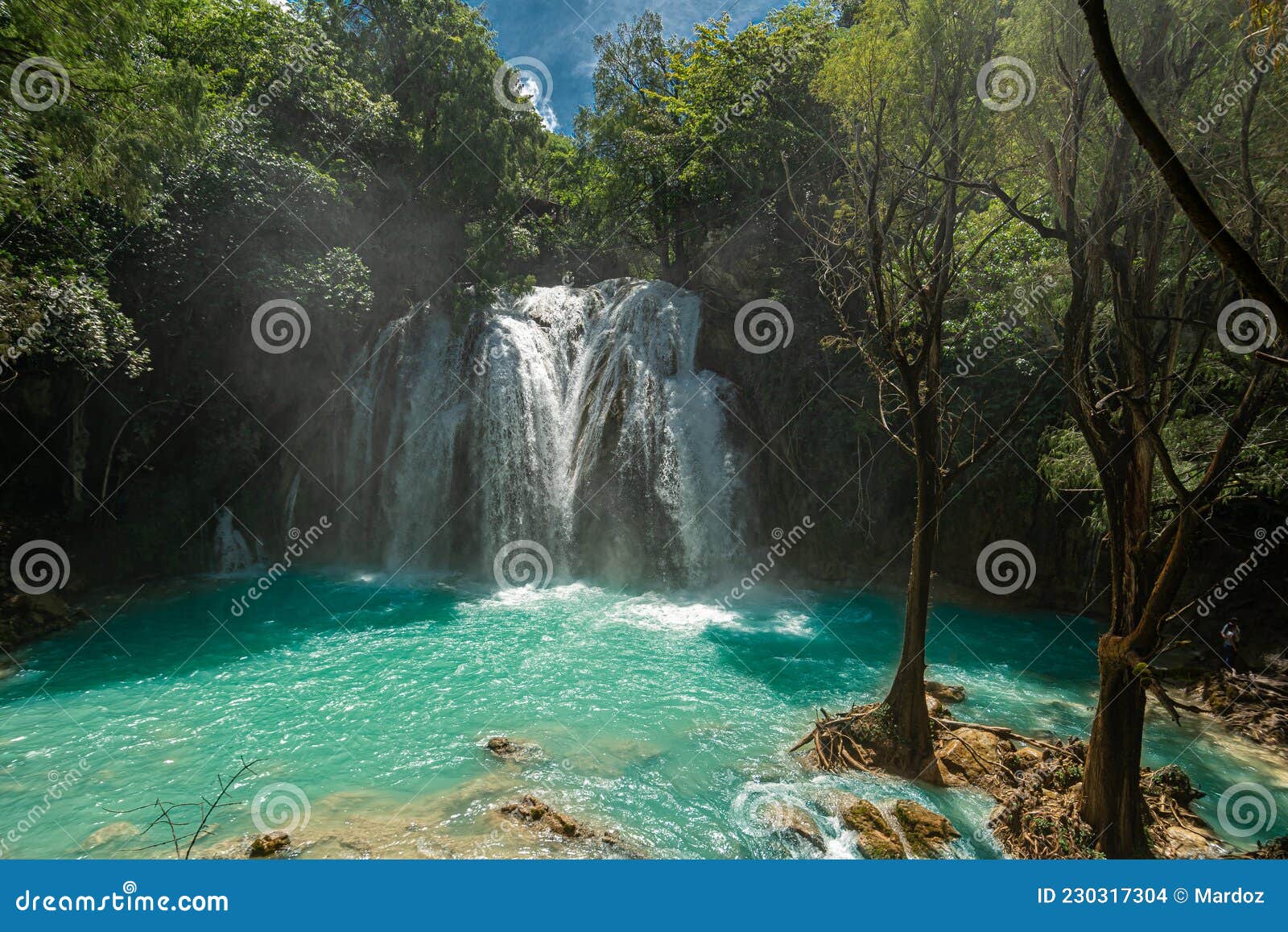Angel Wing Waterfalls In Chiapas, Mexico Stock Photography ...