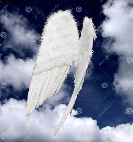 Angel wings stock photo. Image of clouds, cloudy, peace - 21352090