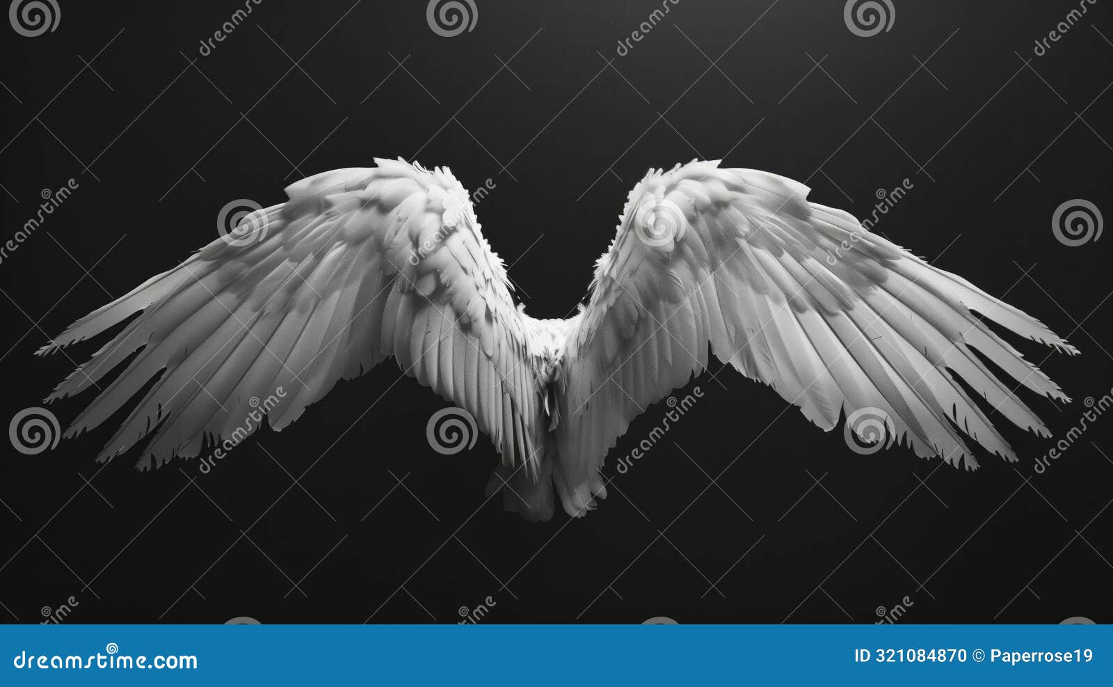 Angel wings stock photo. Image of modern, natural, form - 321084870