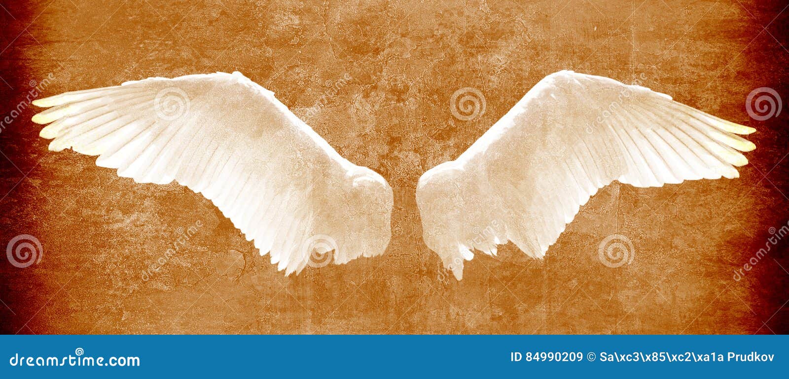 Angel Wings on Grunge Texture in Brown Tones Stock Image - Image of ...