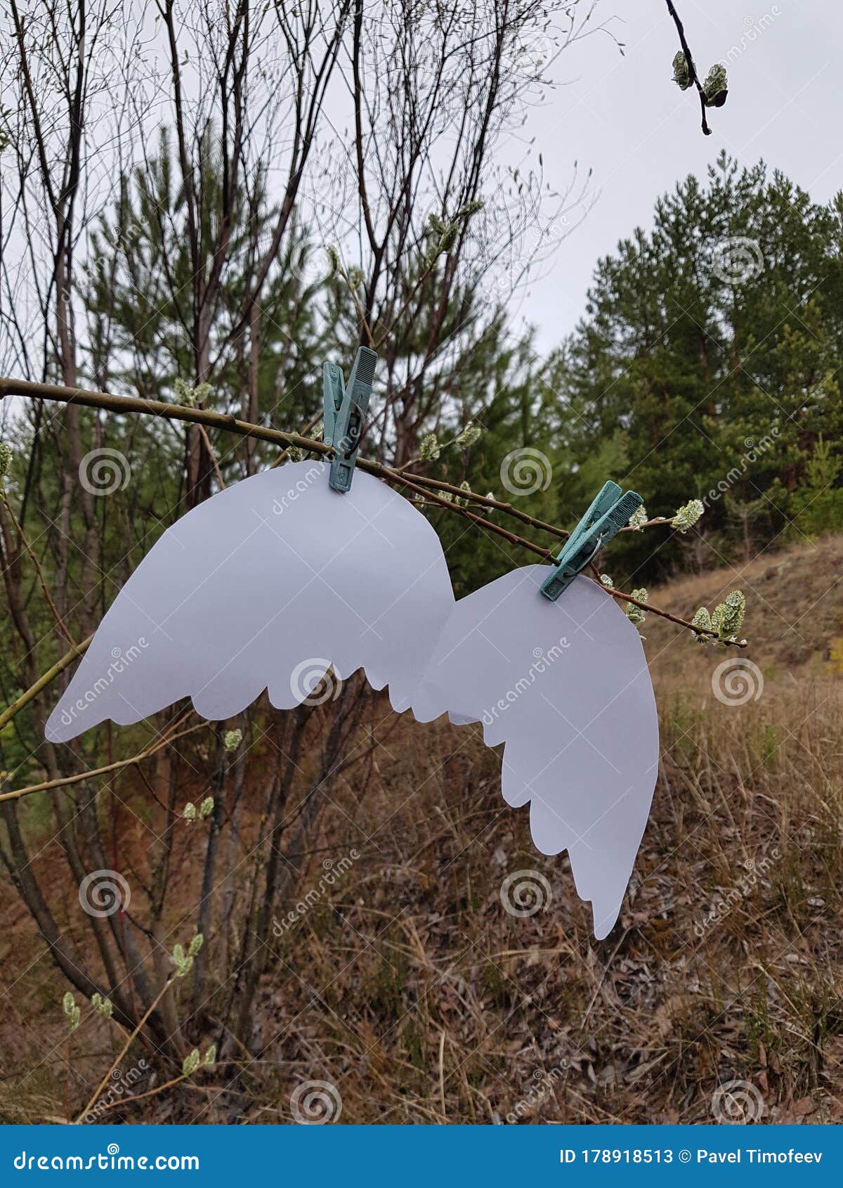 Angel Wings Hang on a Tree Against the Background Stock Image - Image ...