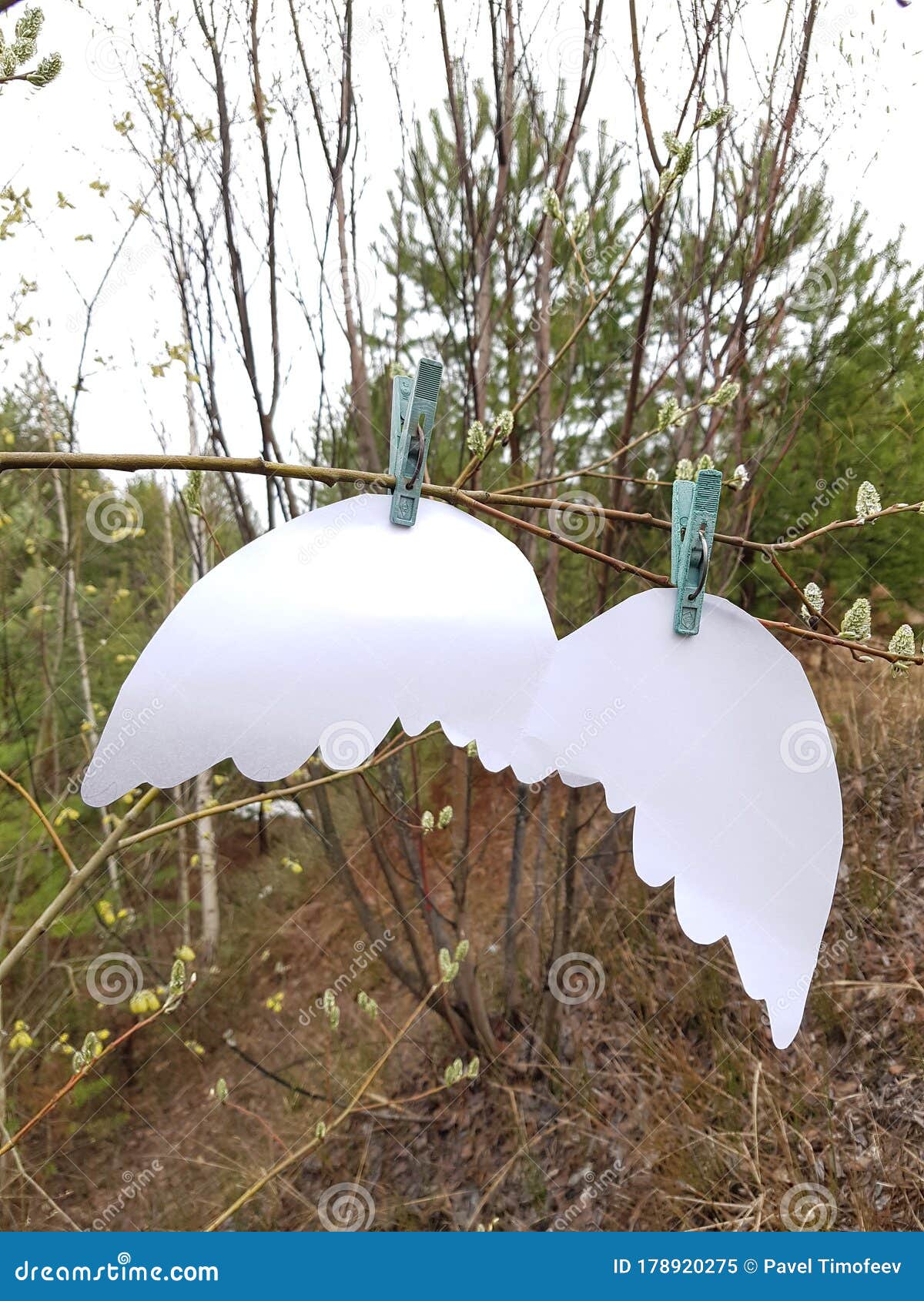 Angel Wings Hang on a Tree Against the Background Stock Image - Image ...