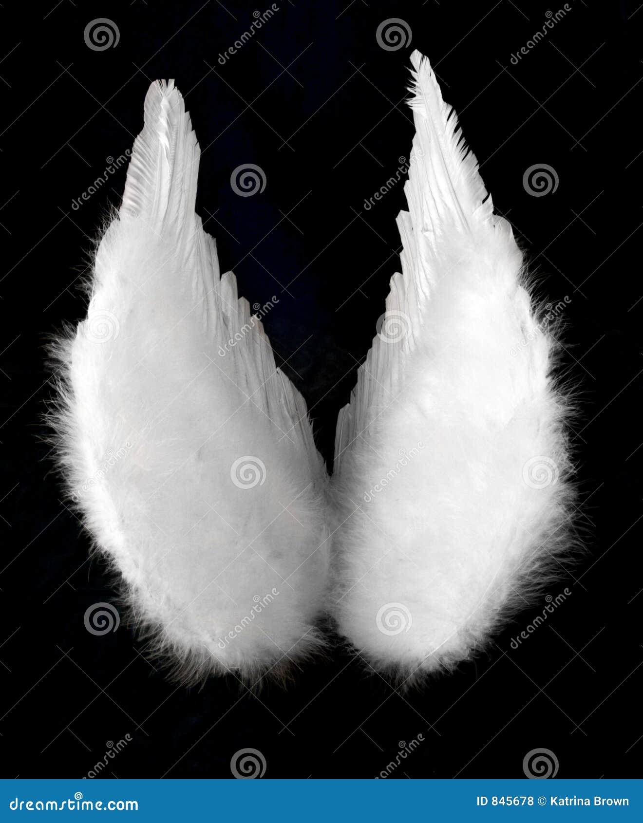 Angel Wings Isolated on Black Top View Stock Photo - Image of godly ...