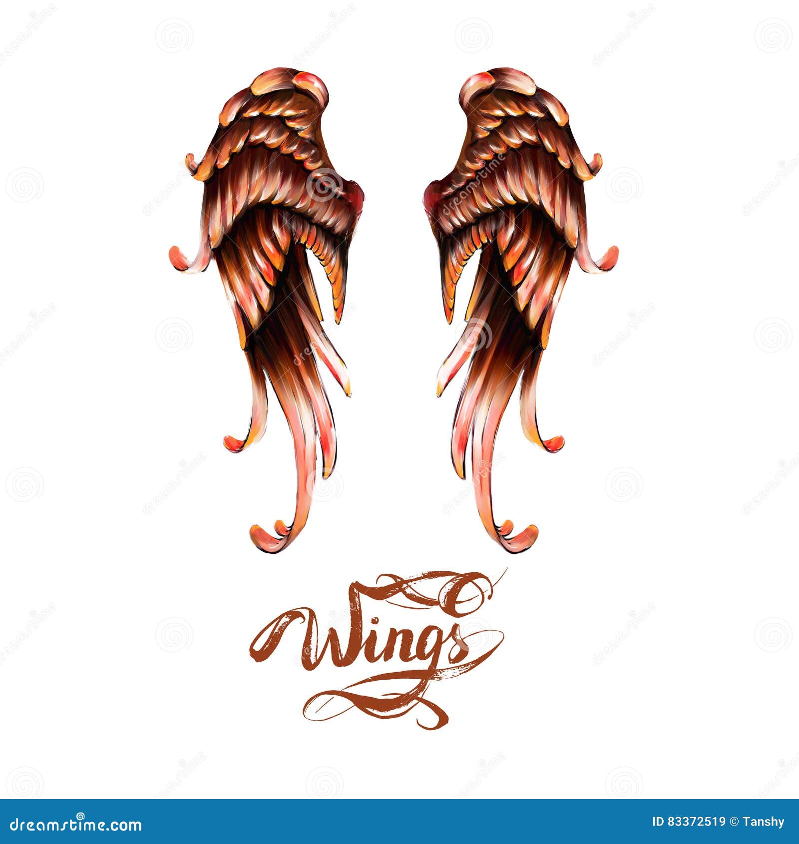 Right Angel Wing Drawing