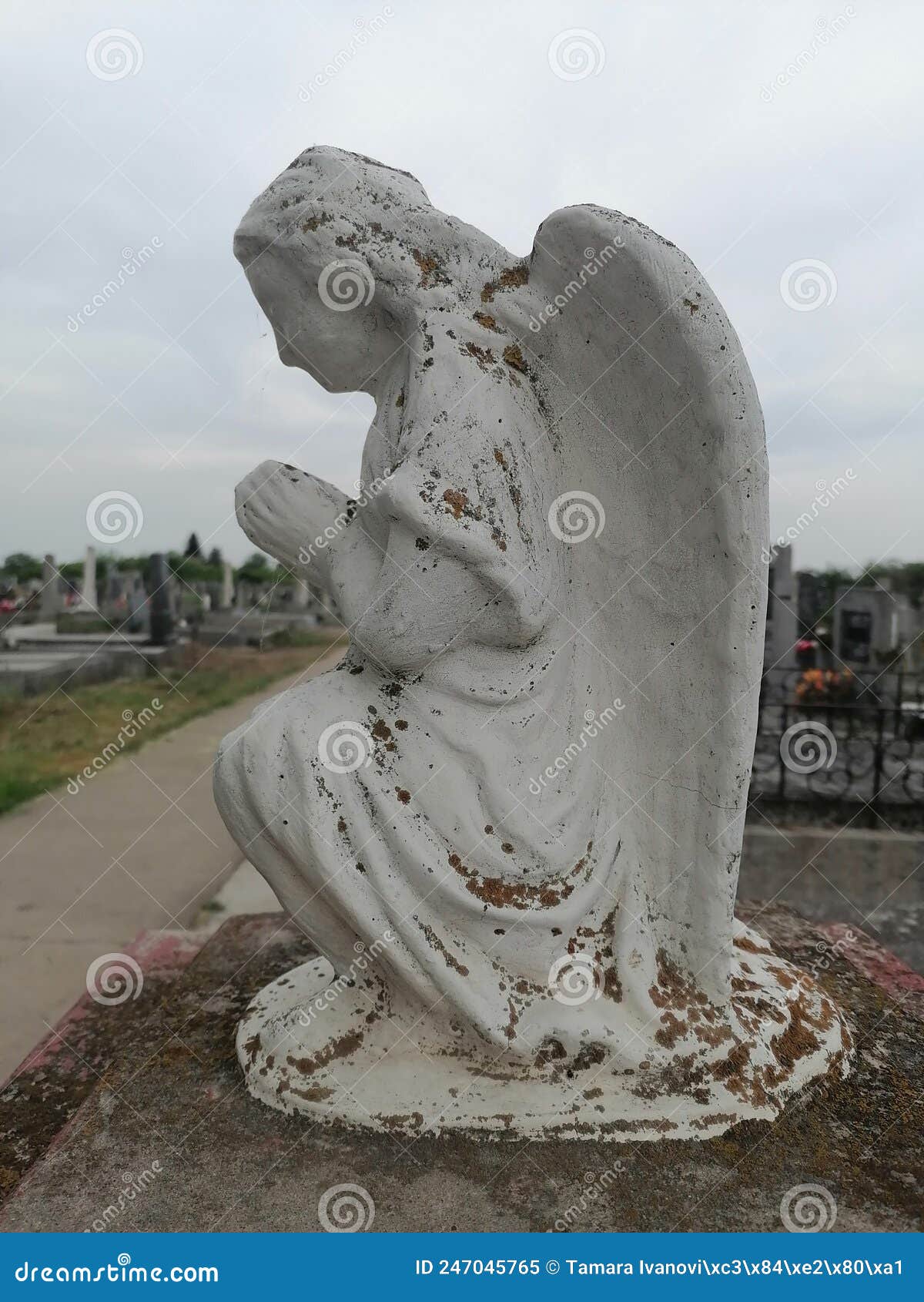 Angel stock image. Image of haven, angel, angelwings - 247045765