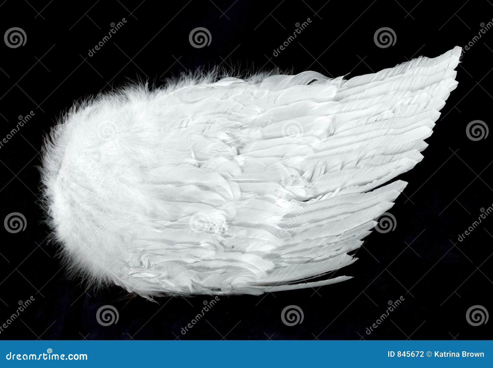 Realistic Angel Wings Side View