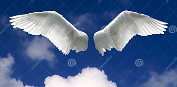 Angel Wings with Sky Background Stock Photo - Image of spread, bird ...