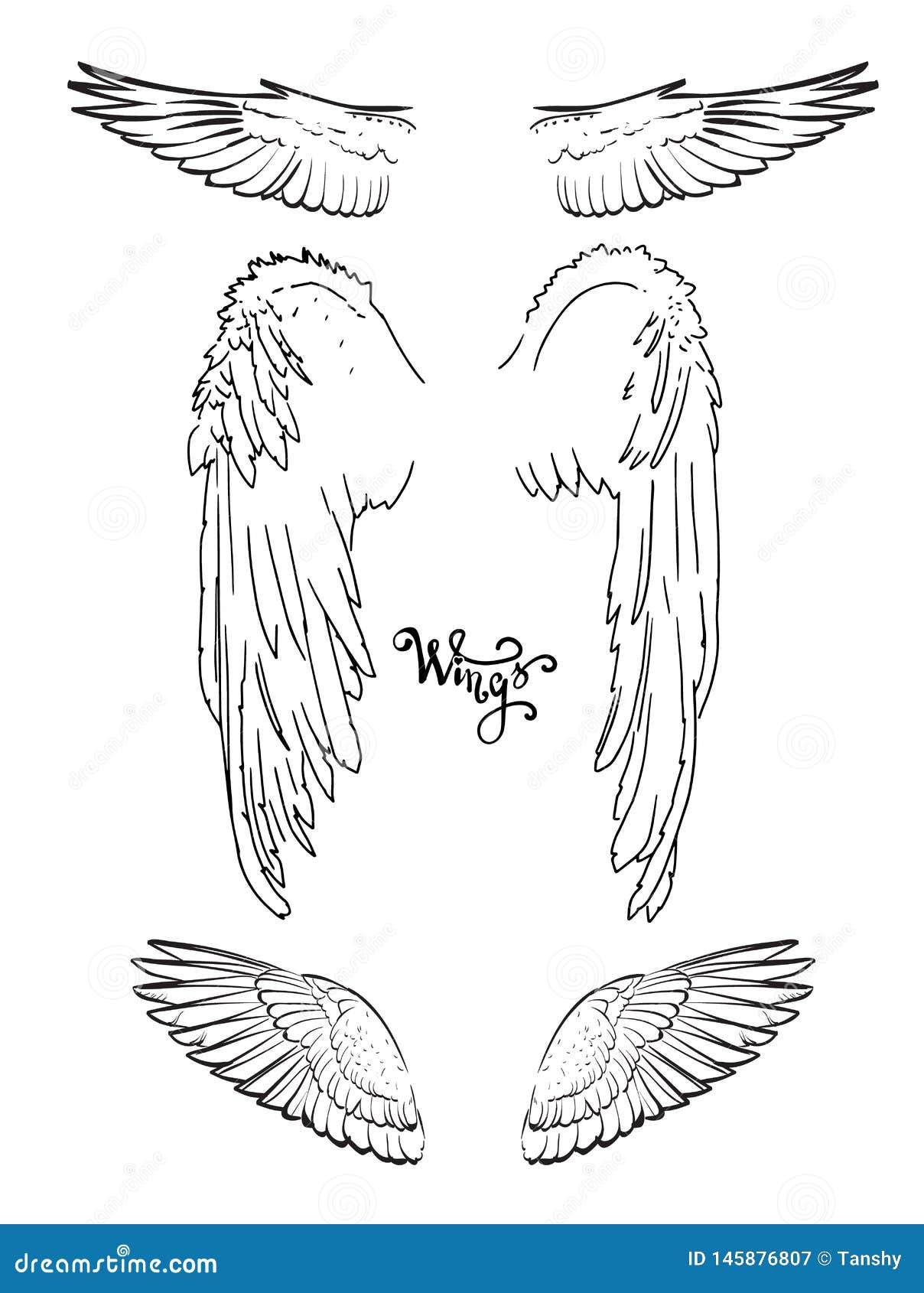 Angel Wings Texture Pattern Vector Drawing Stock Vector - Illustration ...