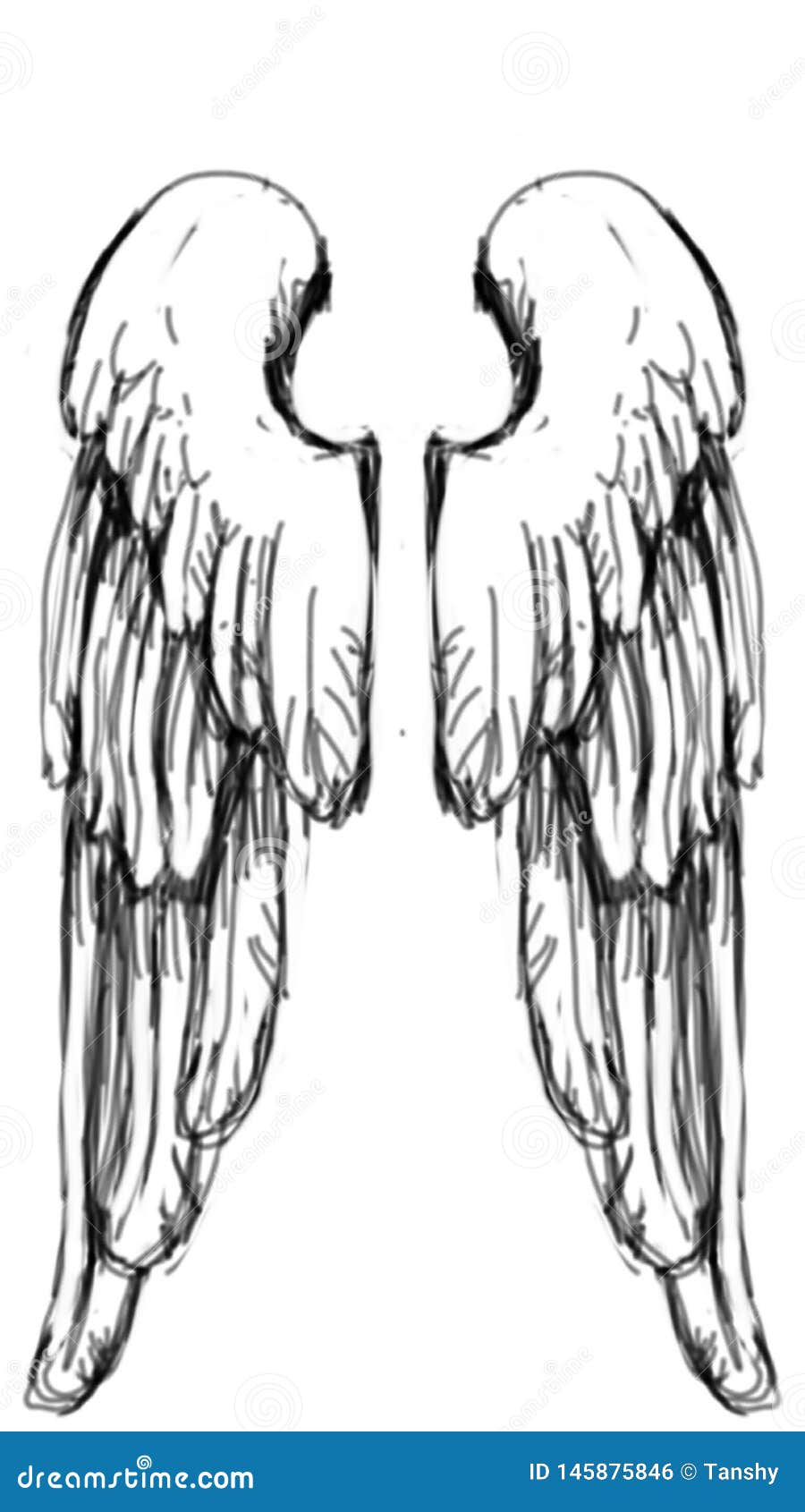 Angel Wings Texture Pattern Vector Drawing Tattoo Stock Illustration ...