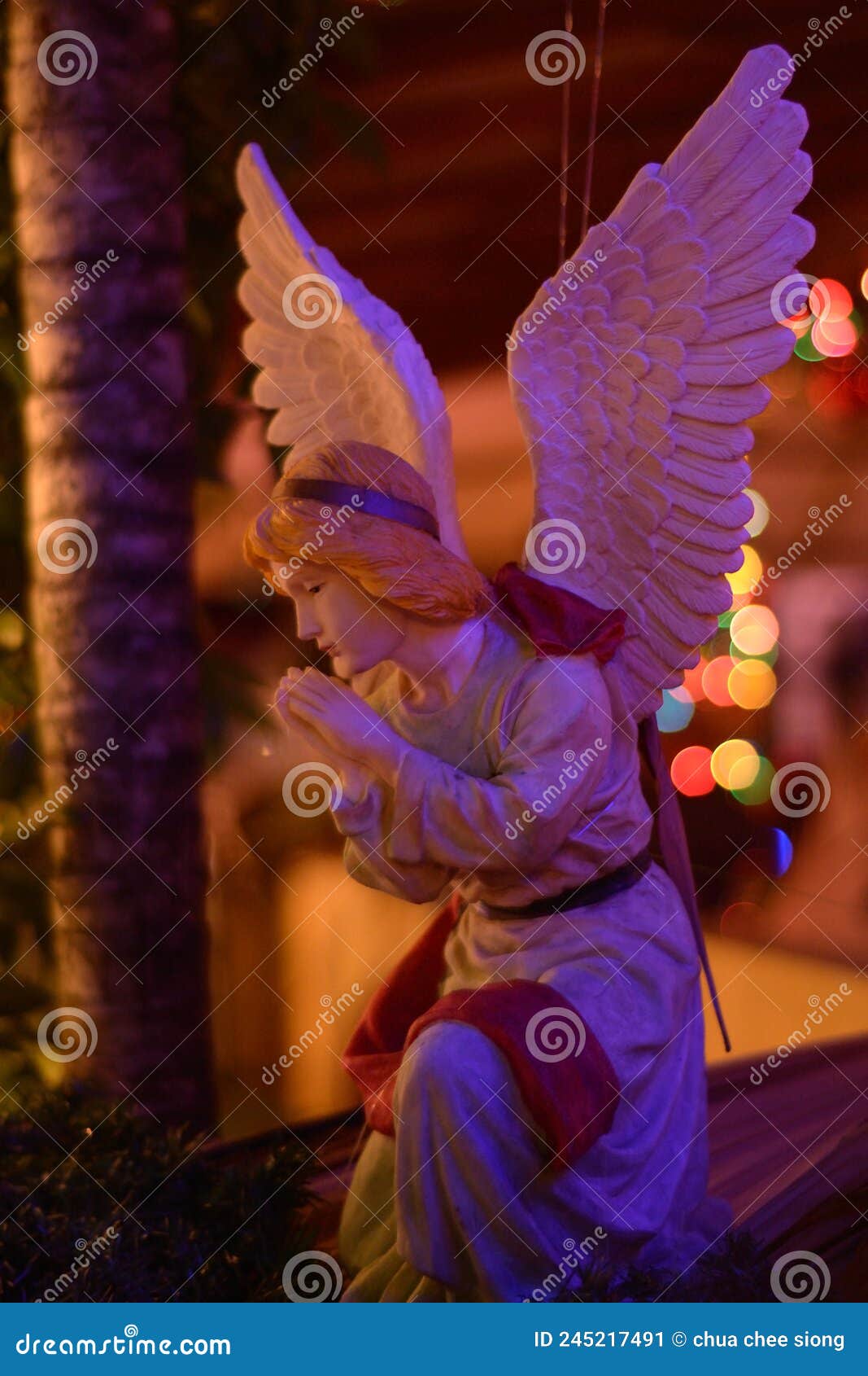 Angel in the world stock image. Image of person, world - 245217491