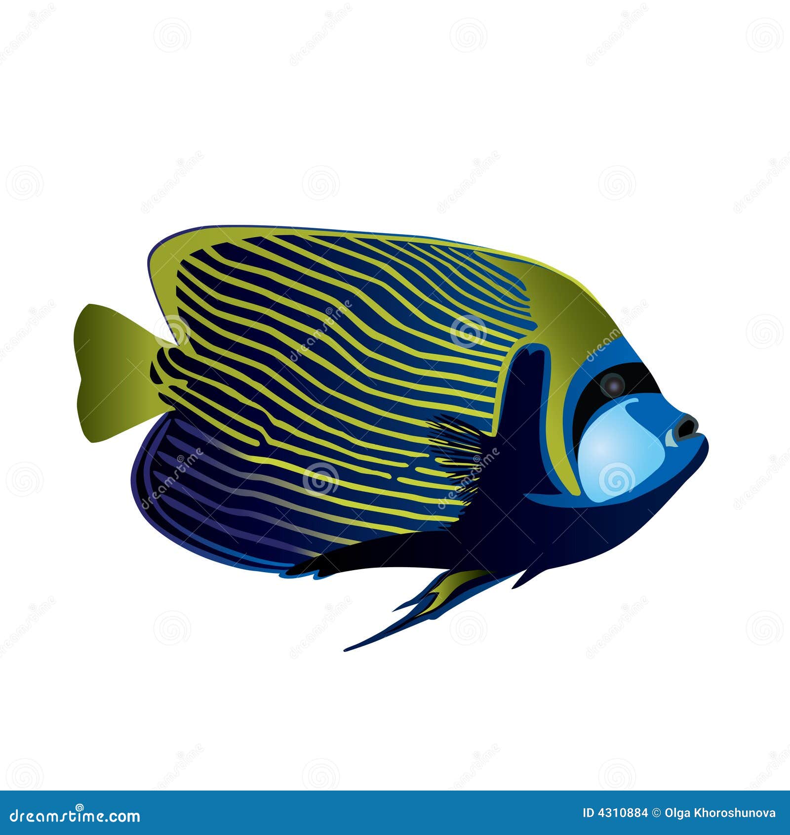 Angelfish Vector Illustration | CartoonDealer.com #9936968