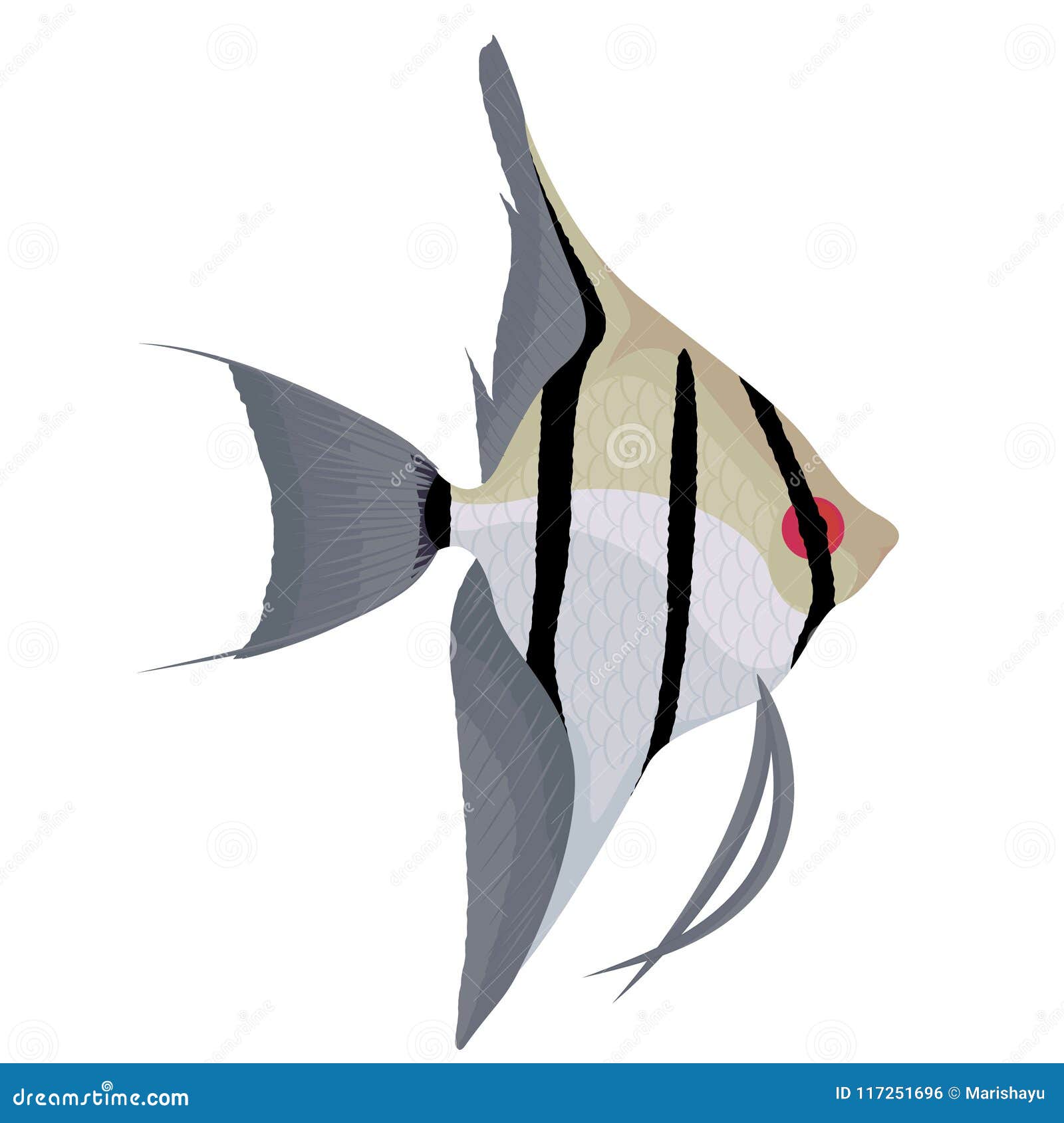 Cartoon Angelfish