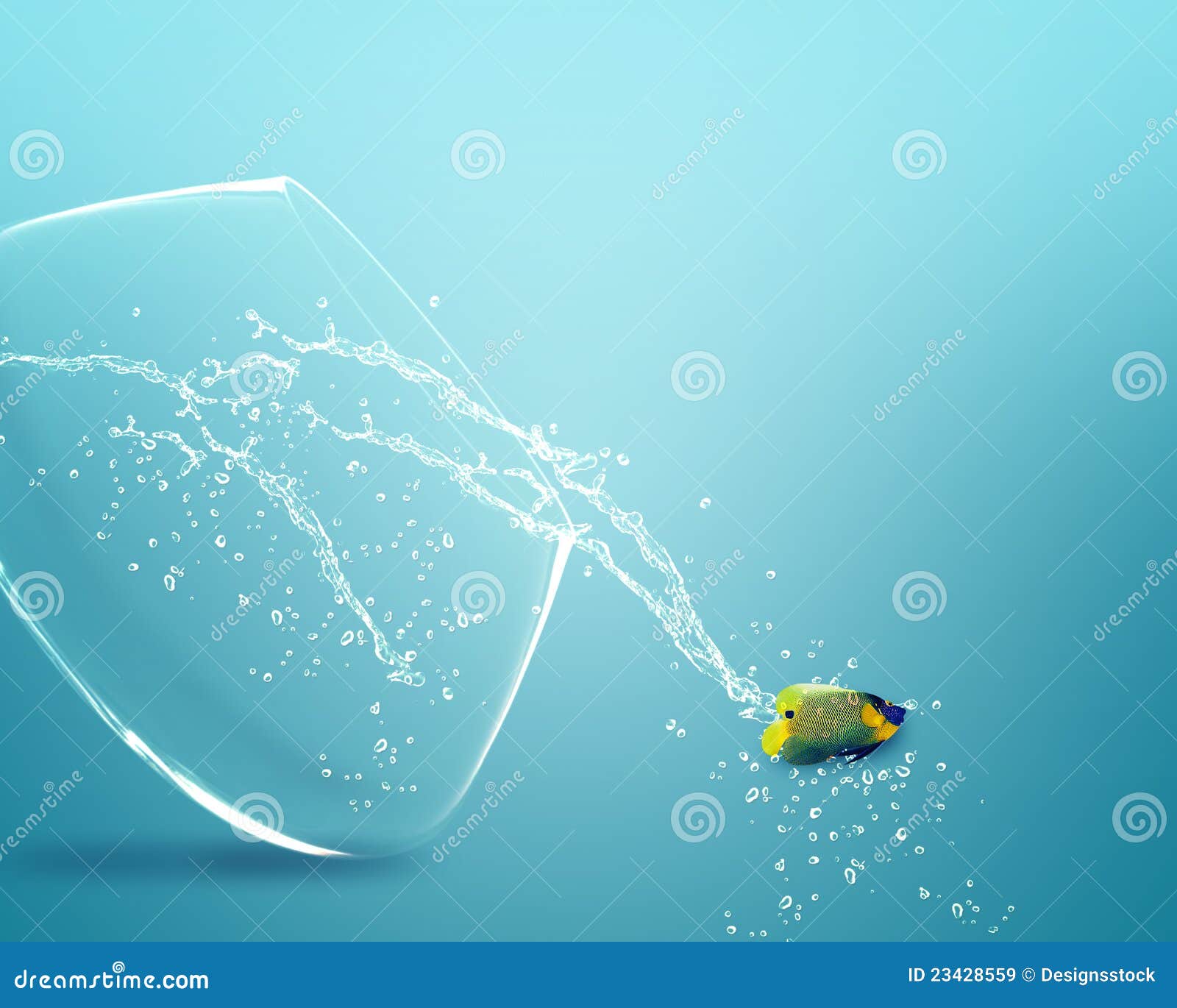 Angelfish Jumping Out of Fishbowl Stock Image - Image of diving ...