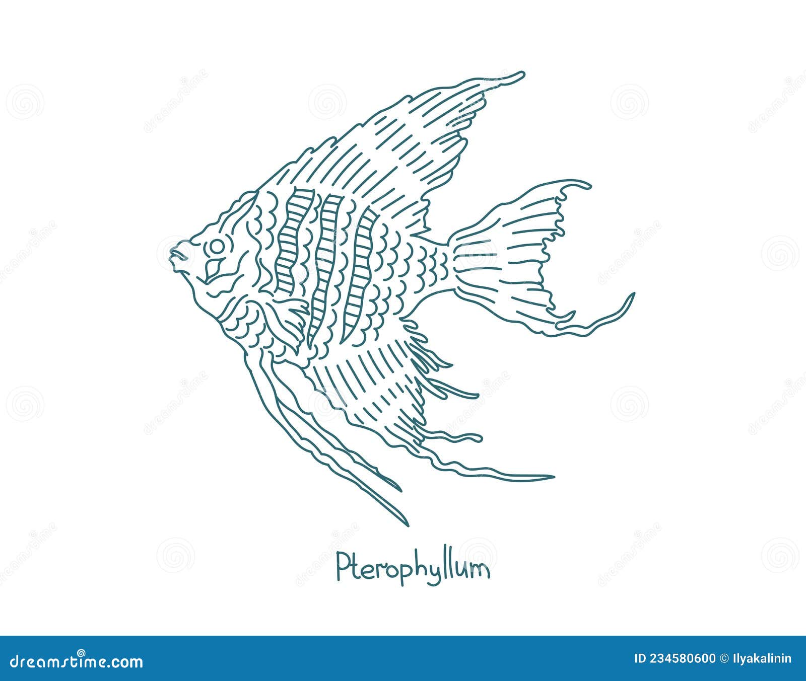 Angelfish Line Icon. Scalare Vector Sign. Aquarium Fish Symbol ...