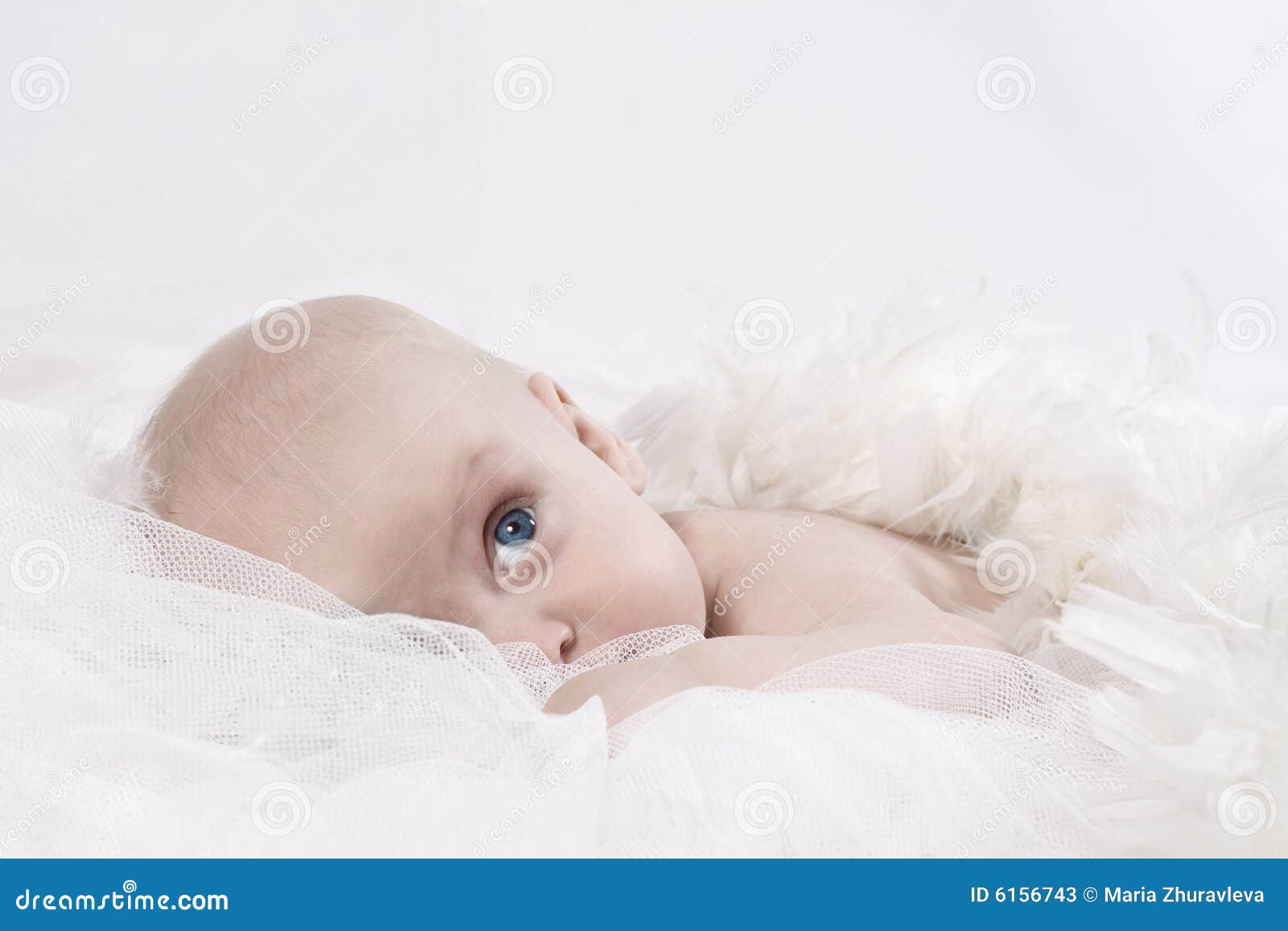 Angelic baby stock image. Image of innocence, feather - 6156743