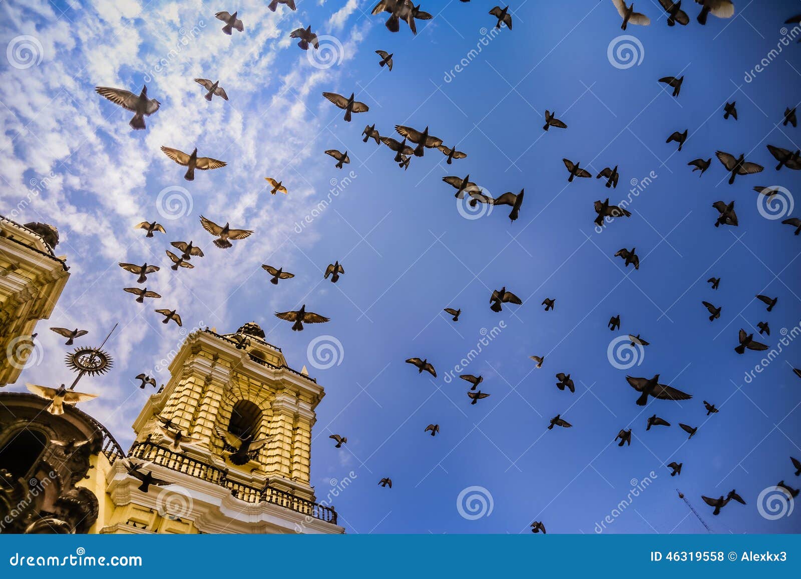 Angelic Birds stock photo. Image of angelic, angel, holy - 46319558