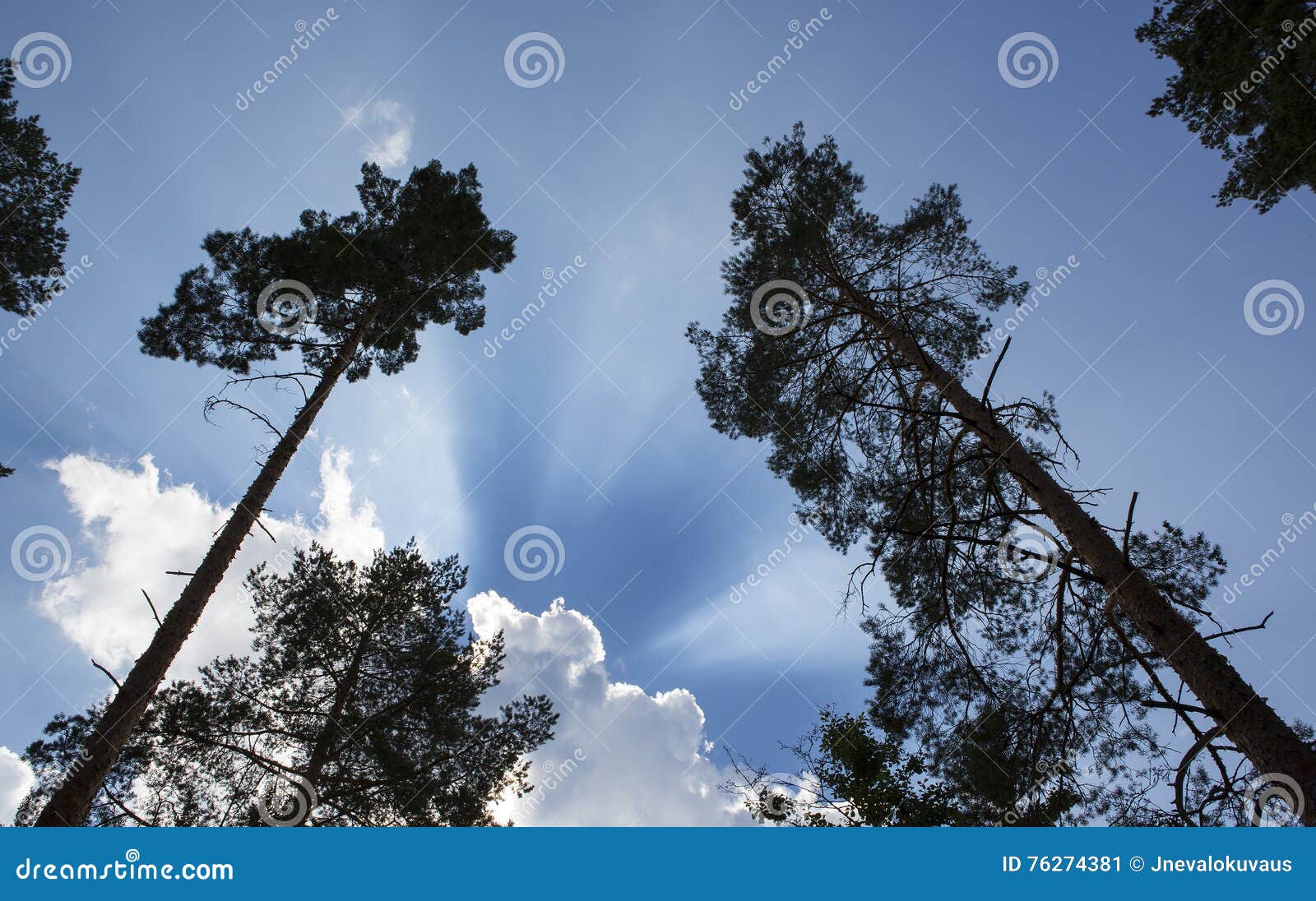 Angelic lights in the sky. stock image. Image of focus - 76274381
