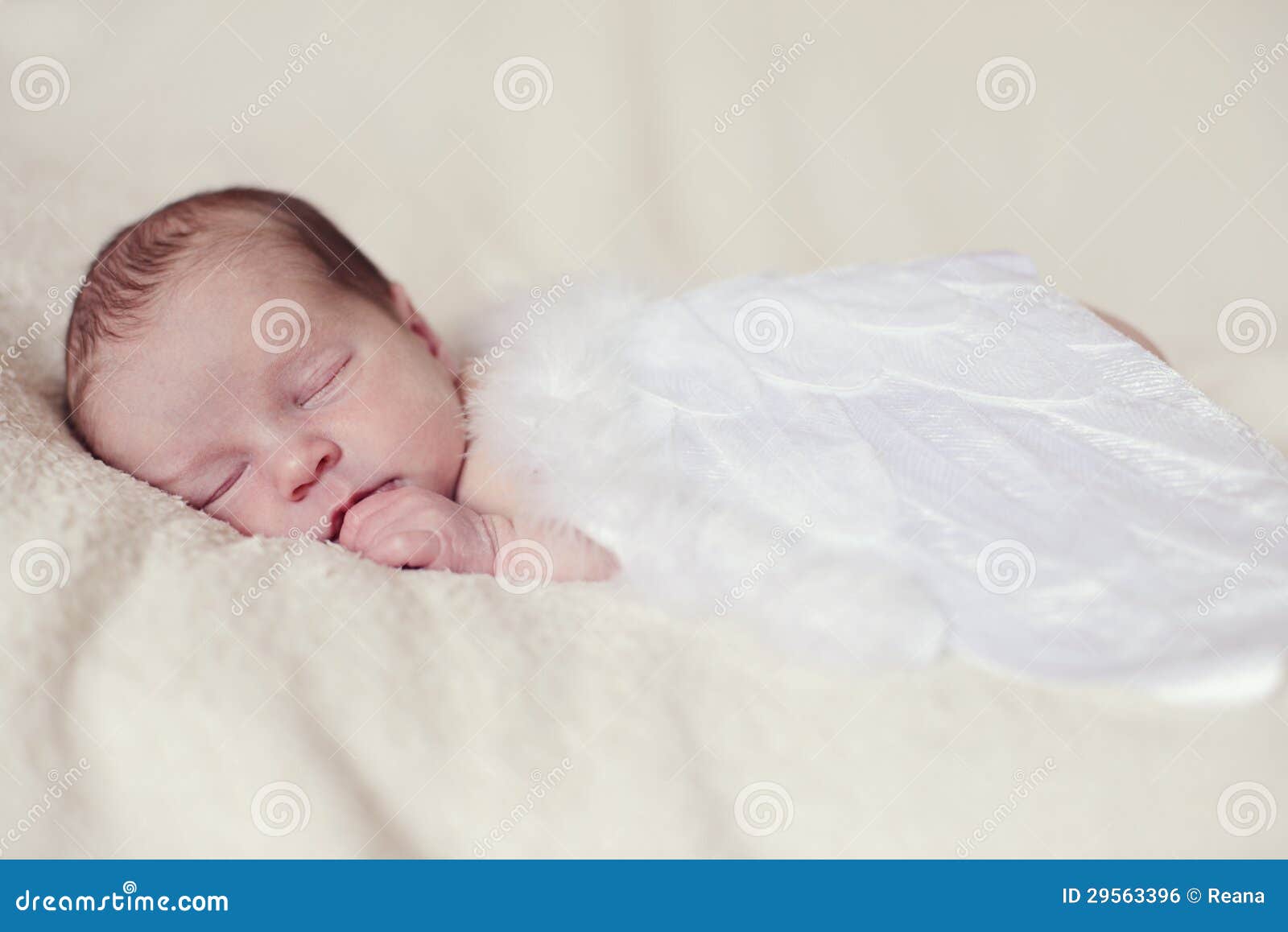 Angelic newborn stock photo. Image of innocence, caucasian - 29563396