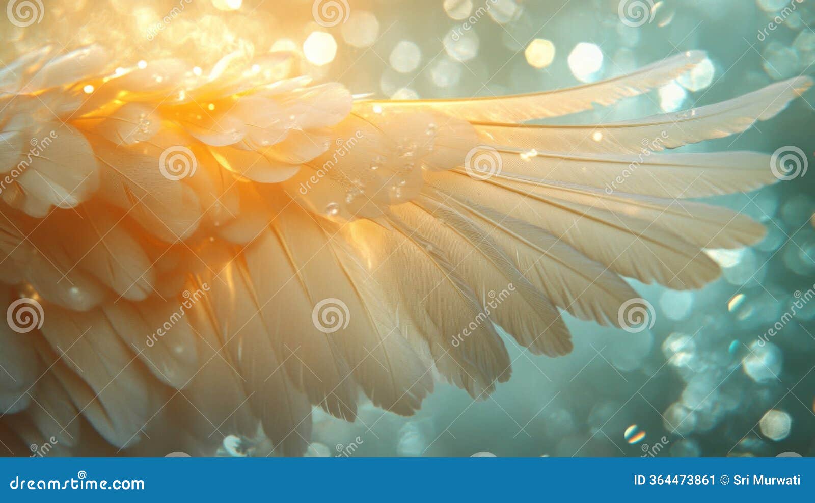 Angelic Golden And White Feathers Forming Wings On White Background ...