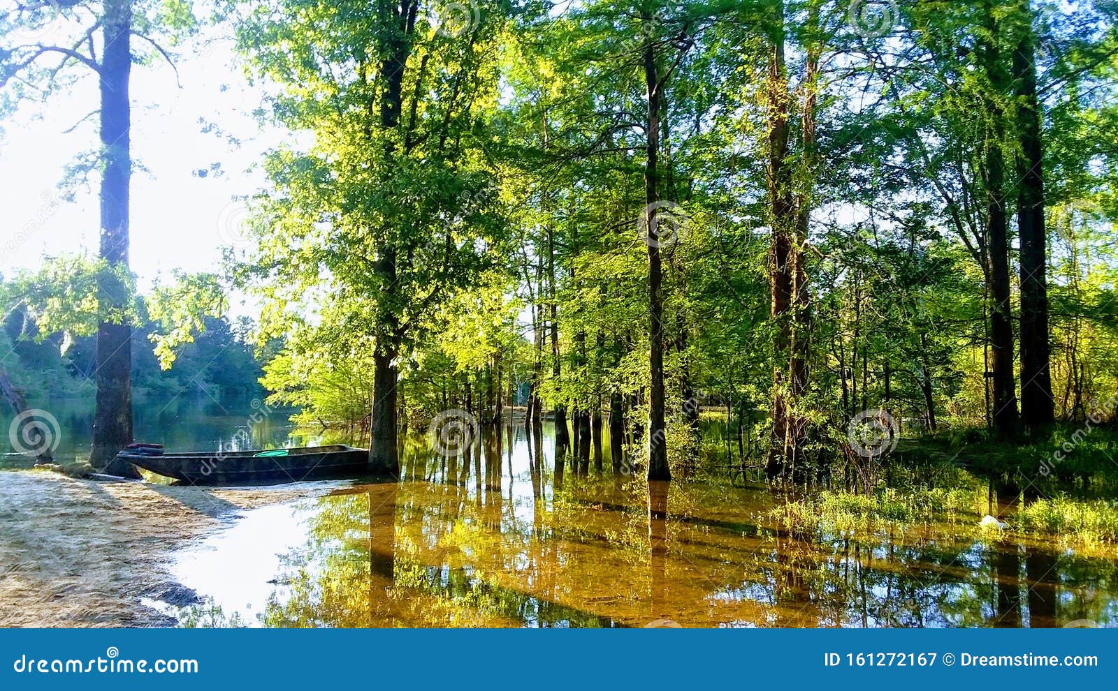 The Angelina river stock image. Image of nature, bevilport - 161272167