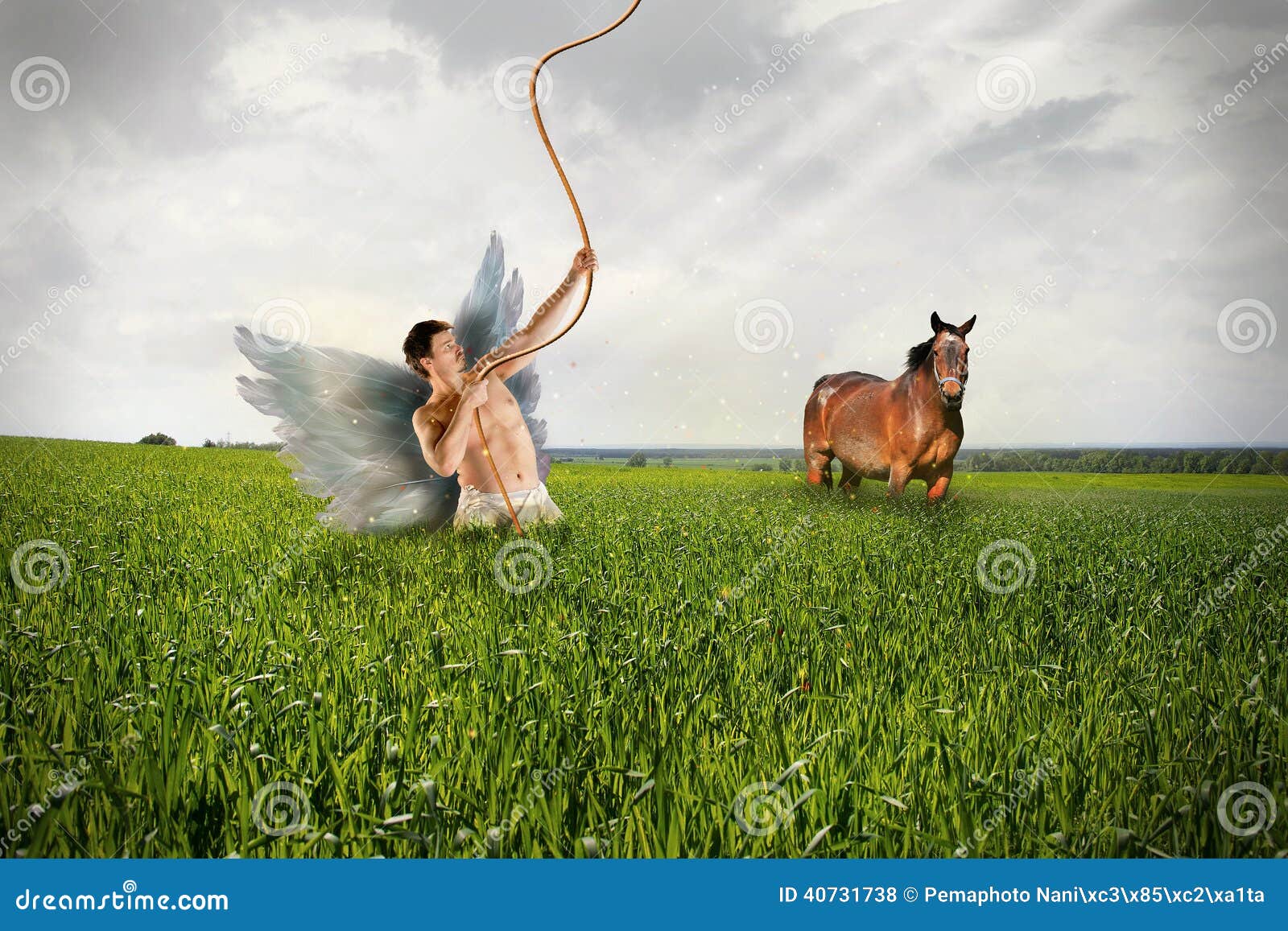 Angelo E Cavallo Su Grassfield Fotografia Stock - Immagine di spirito ...