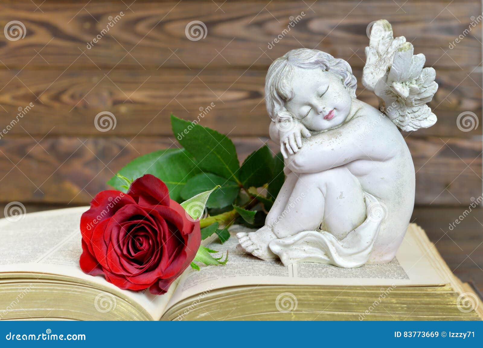 Angelo E Rosa Rossa Sul Libro Immagine Stock - Immagine di rosa, sonno ...