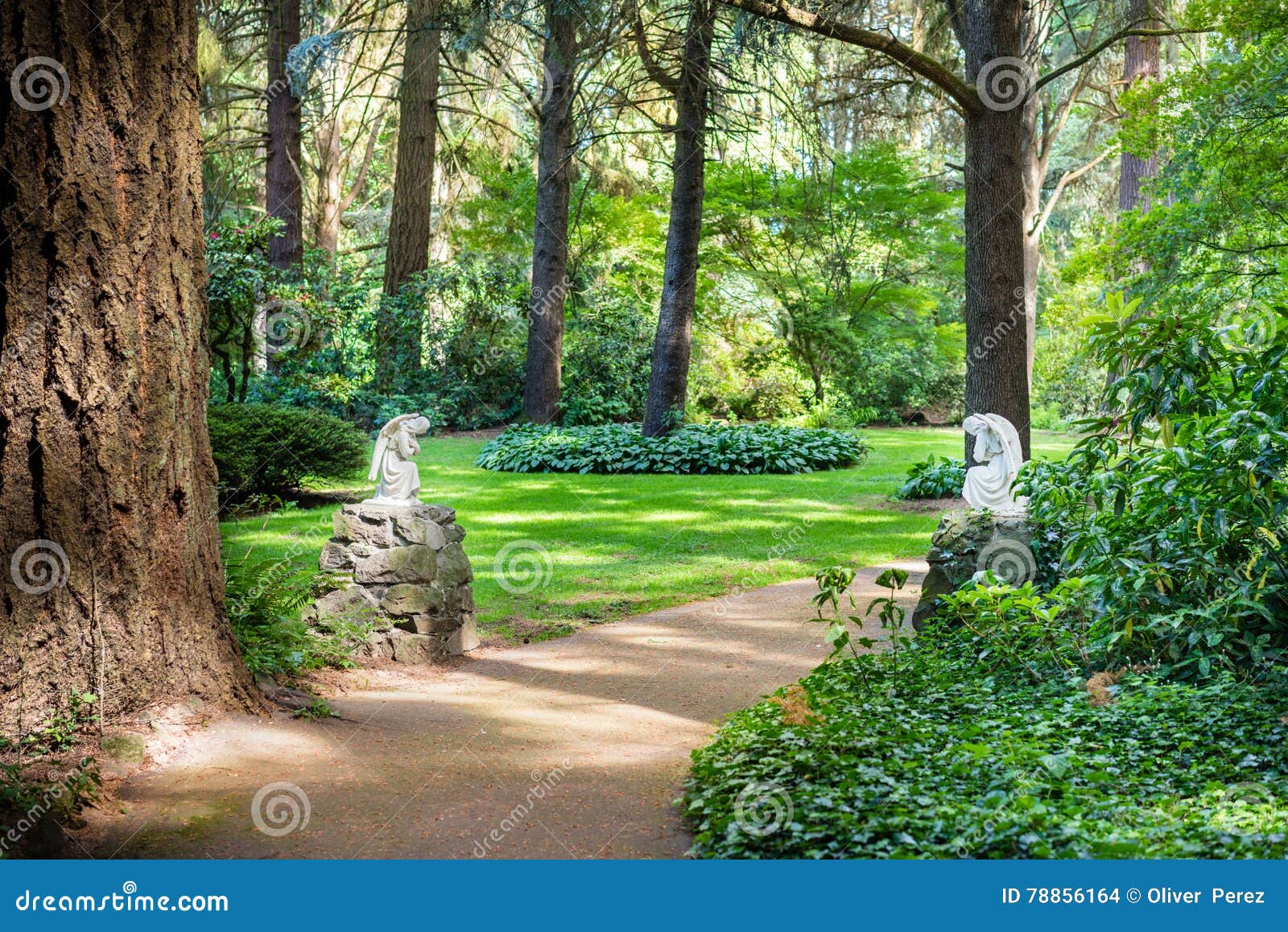 Angels guarding path stock photo. Image of guard, branches - 78856164