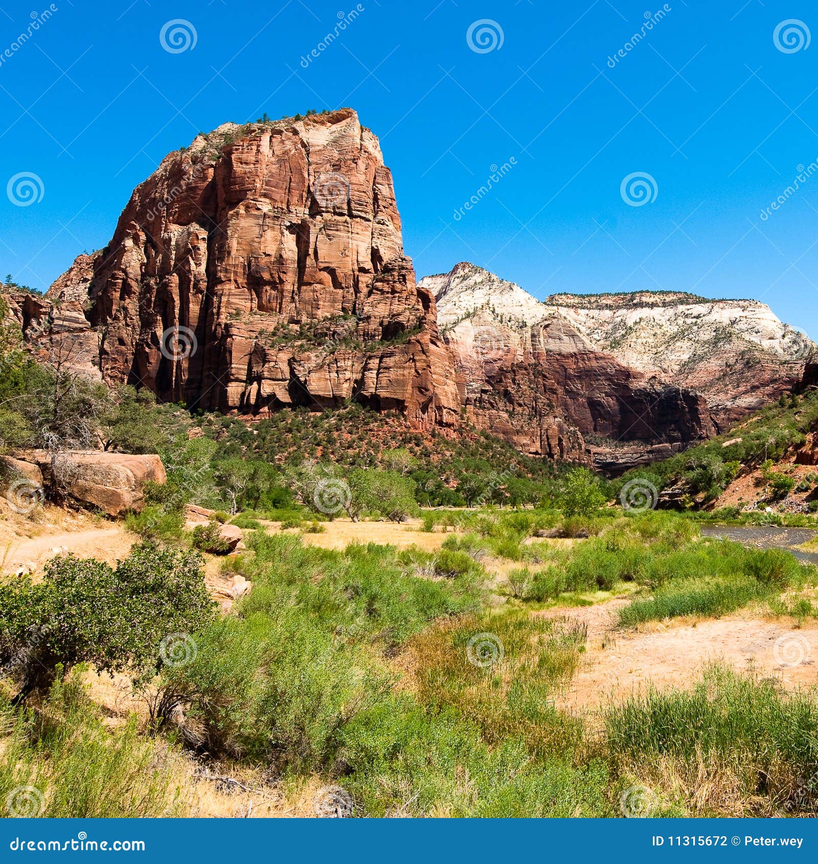 Angels landing stock photo. Image of meadow, vista, scenery - 11315672