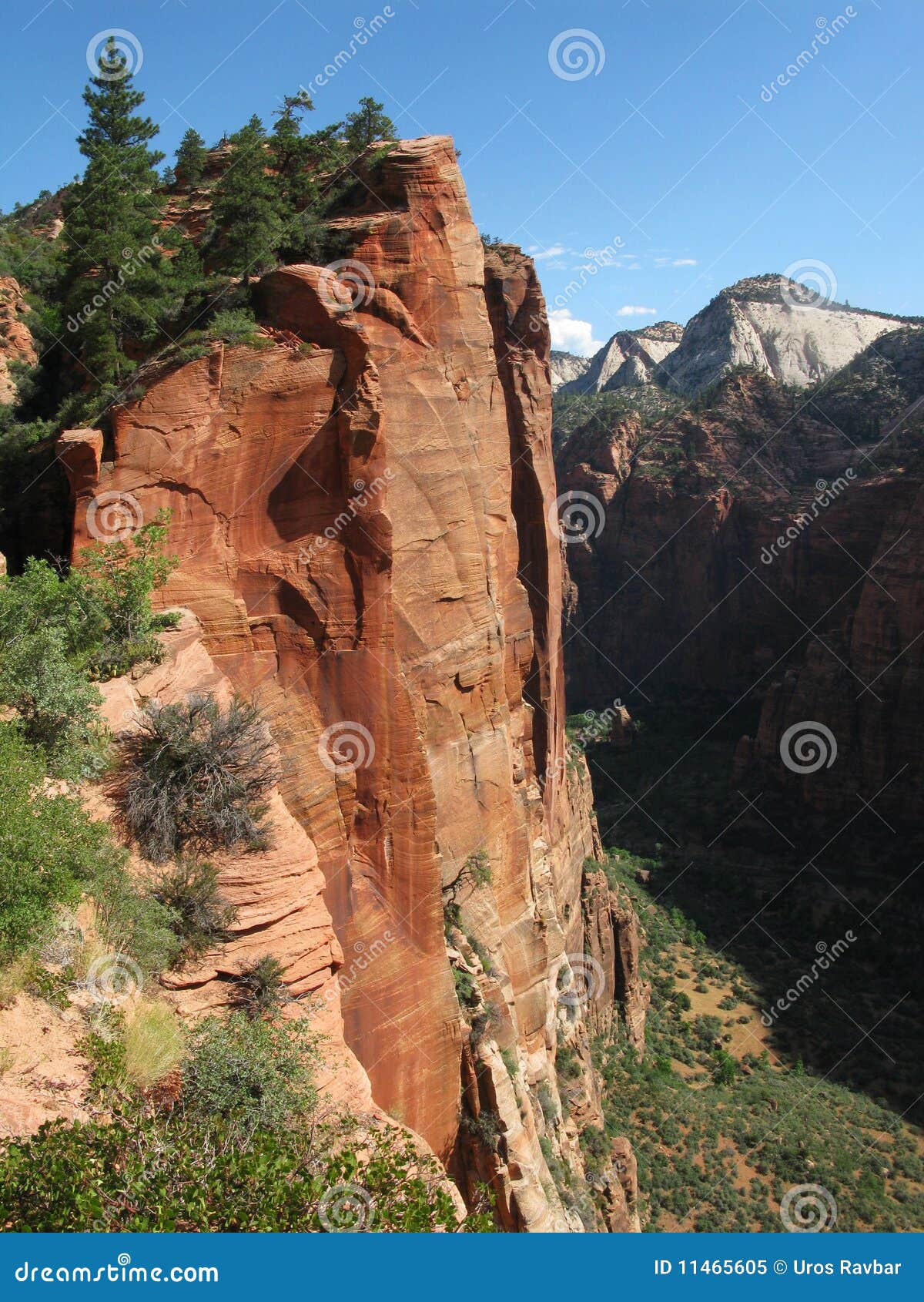 Angels Landing Trail stock image. Image of rock, angels - 11465605