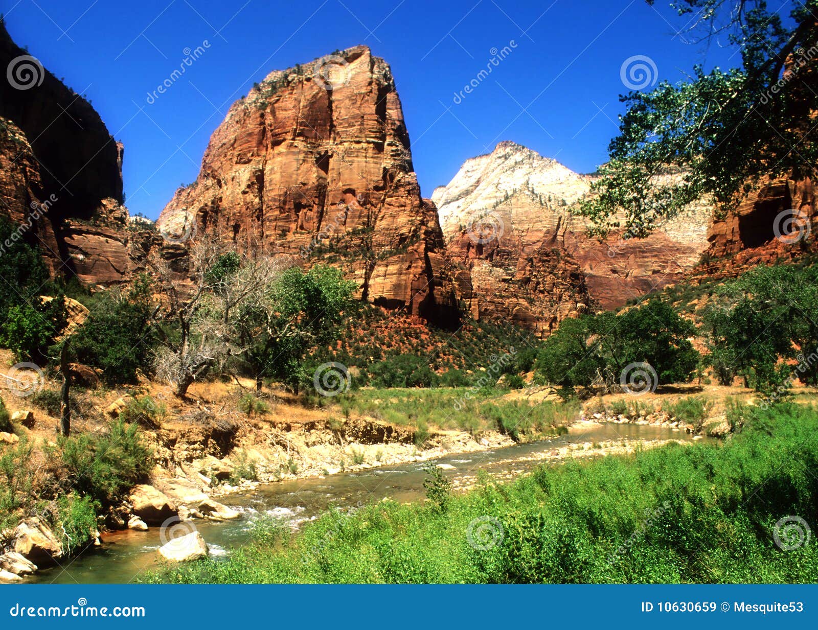 Angels Landing, Utah stock image. Image of travel, national - 10630659
