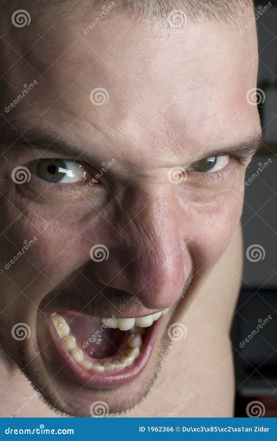 Anger stock photo. Image of deranged, agony, bizarre, fired - 1962366