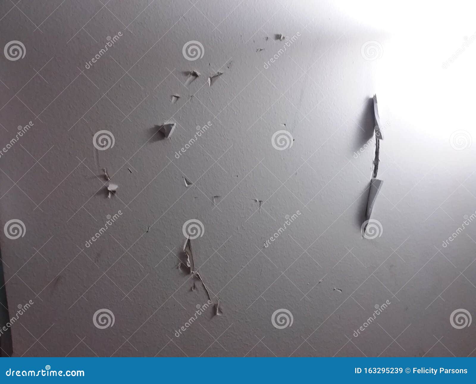 Anger Broken Damage Plates Sad Stock Image - Image of plates, broken ...