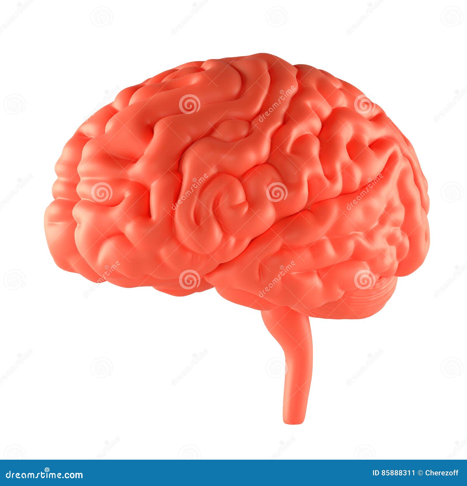 Anger Red Brain stock illustration. Illustration of system - 85888311