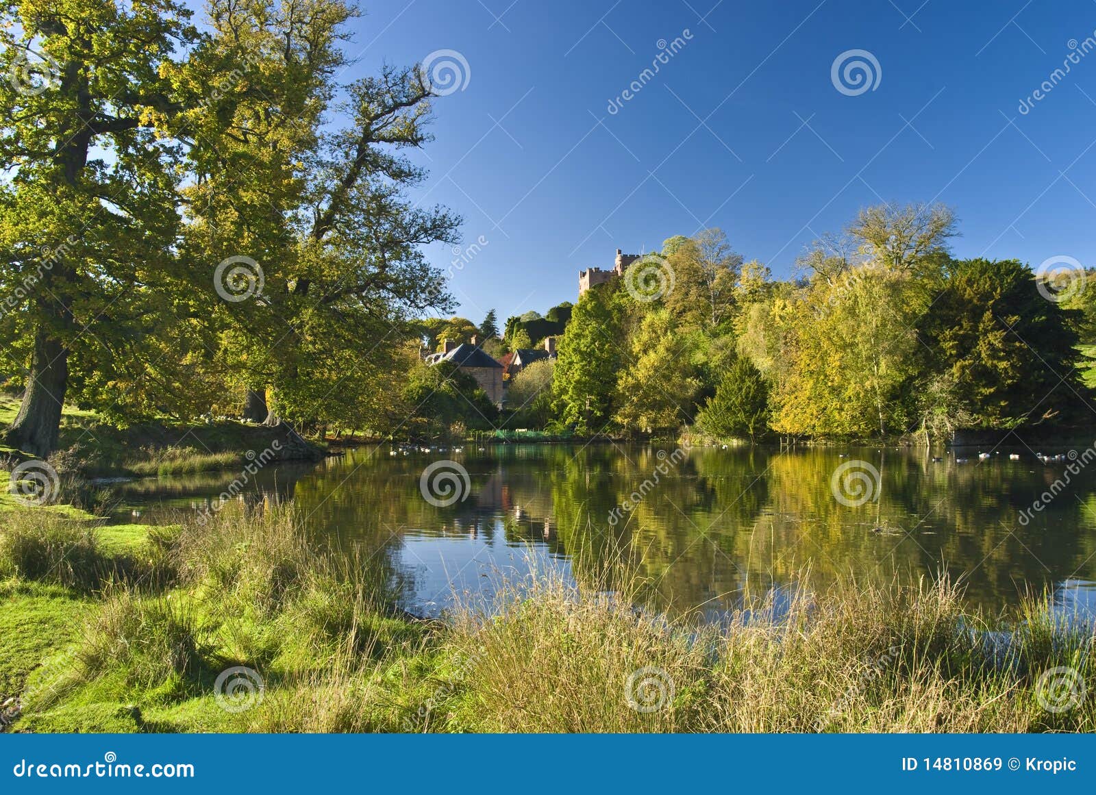 Angielska farma obraz stock. Obraz złożonej z stary, obfitolistny ...