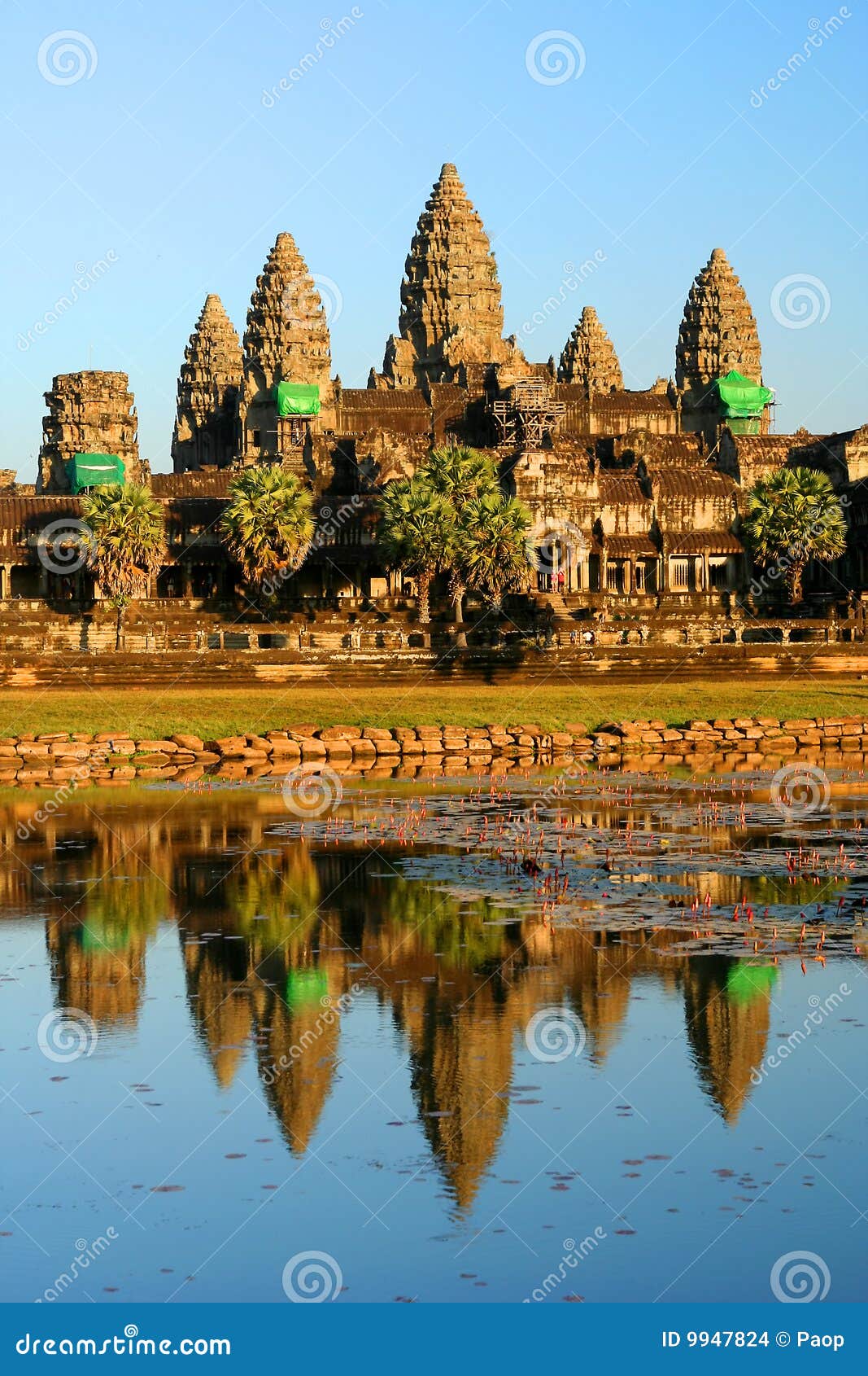 Angkor Wat stock photo. Image of culture, green, intricate - 9947824