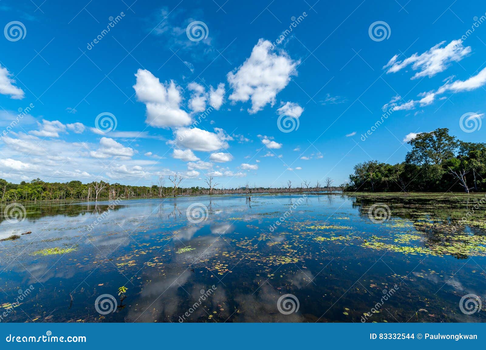 Angkor Wat Baray stock photo. Image of ancient, baray - 83332544