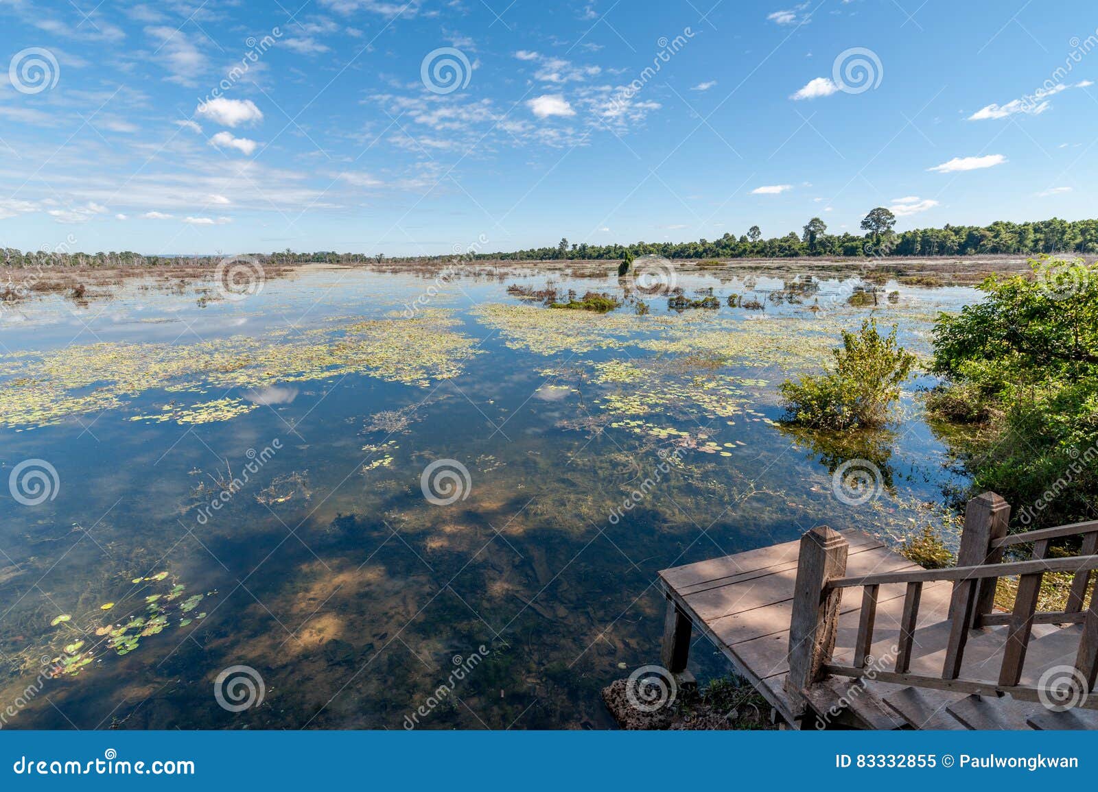 Angkor Wat Baray stock image. Image of asia, landscape - 83332855