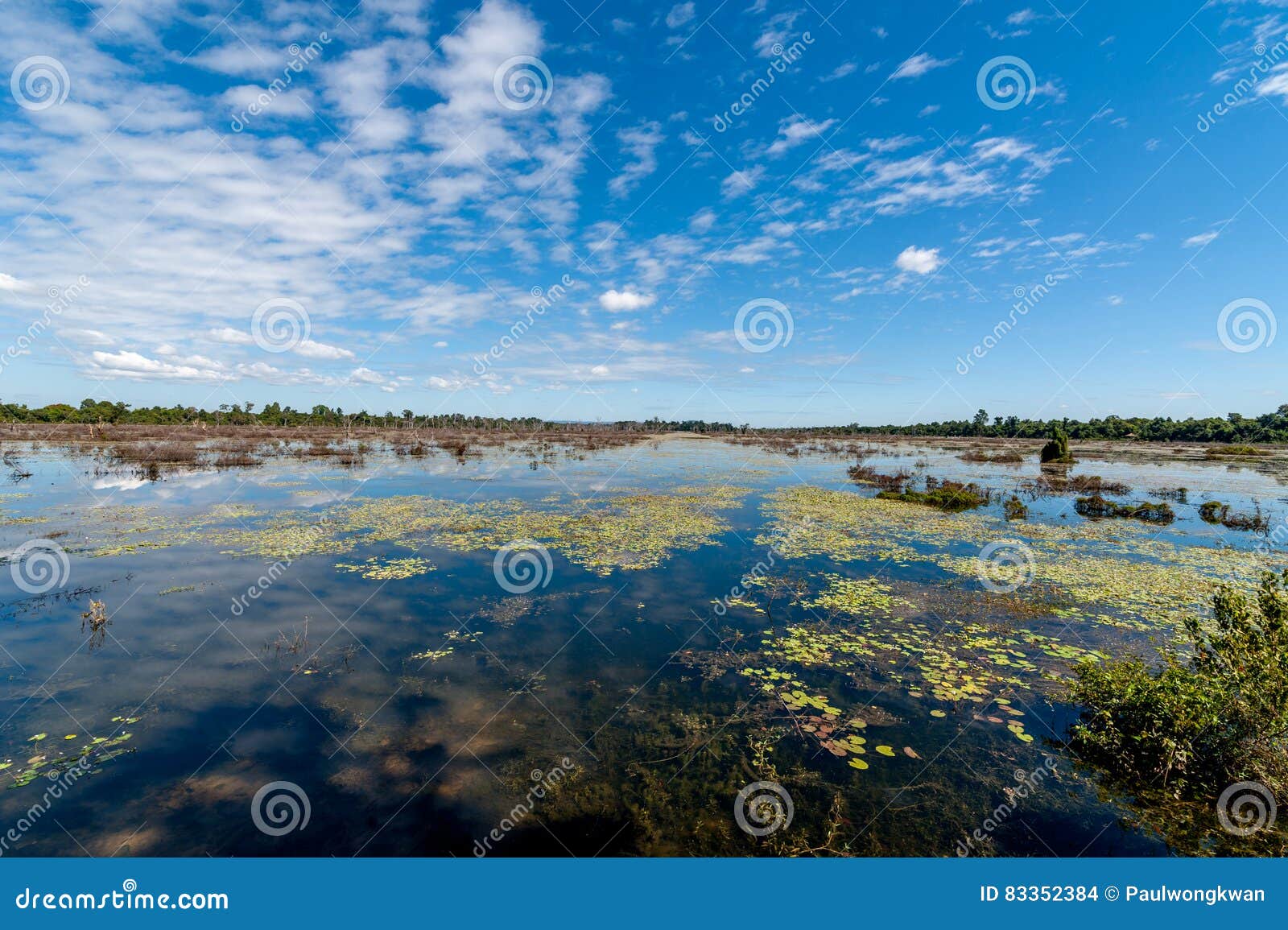 Angkor Wat Baray stock photo. Image of asia, archaeological - 83352384