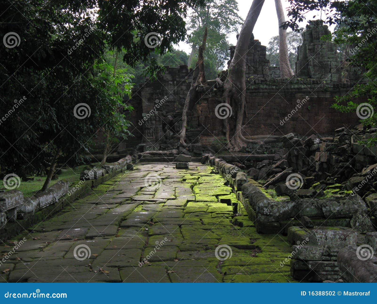 Angkor Wat colors stock photo. Image of apsara, cambodia - 16388502