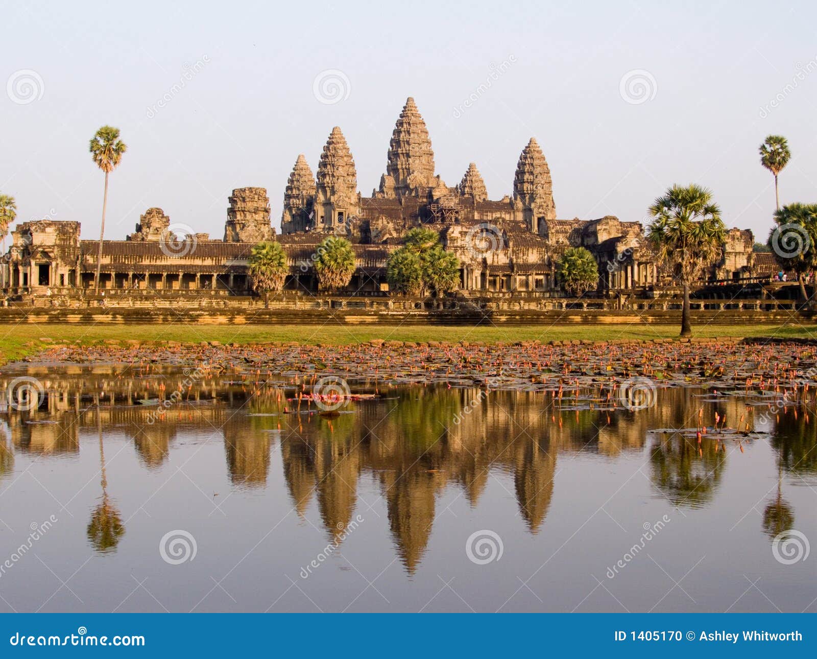 Angkor Wat in the Evening Light Stock Photo - Image of breath, flower ...