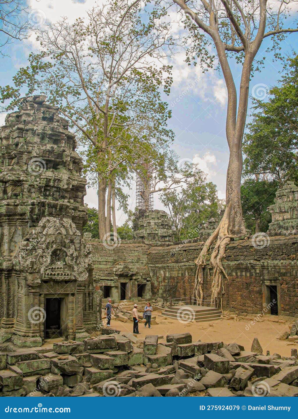 Angkor Wat Strangling Trees Editorial Stock Image - Image of city ...